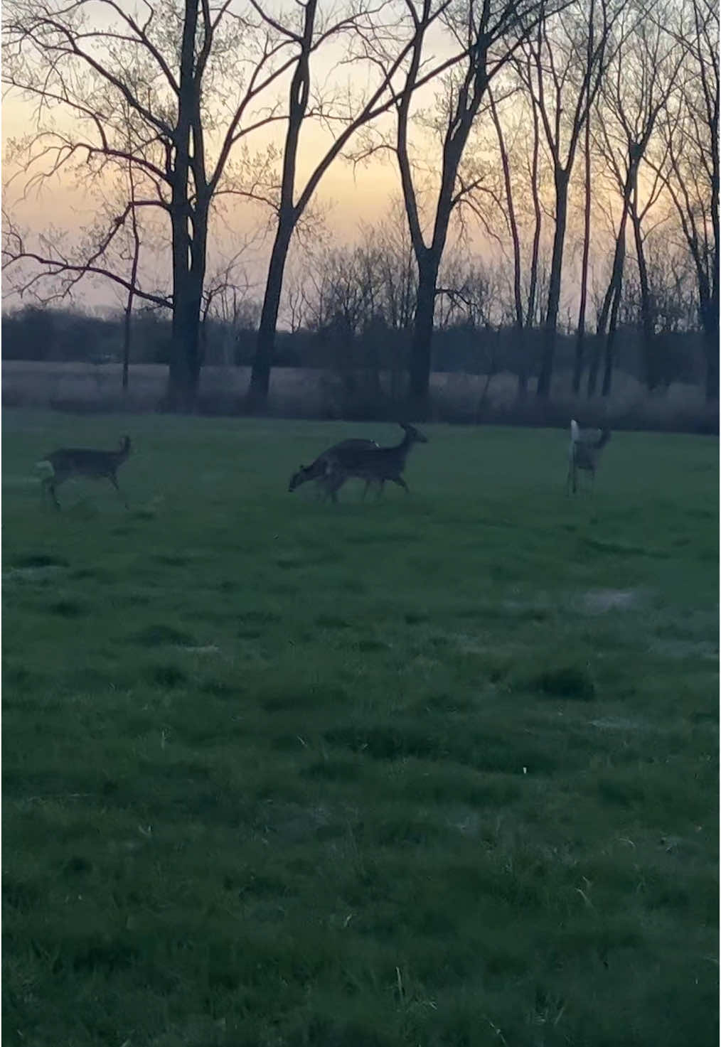 unoangryone (@unoangryone) - Urlebird