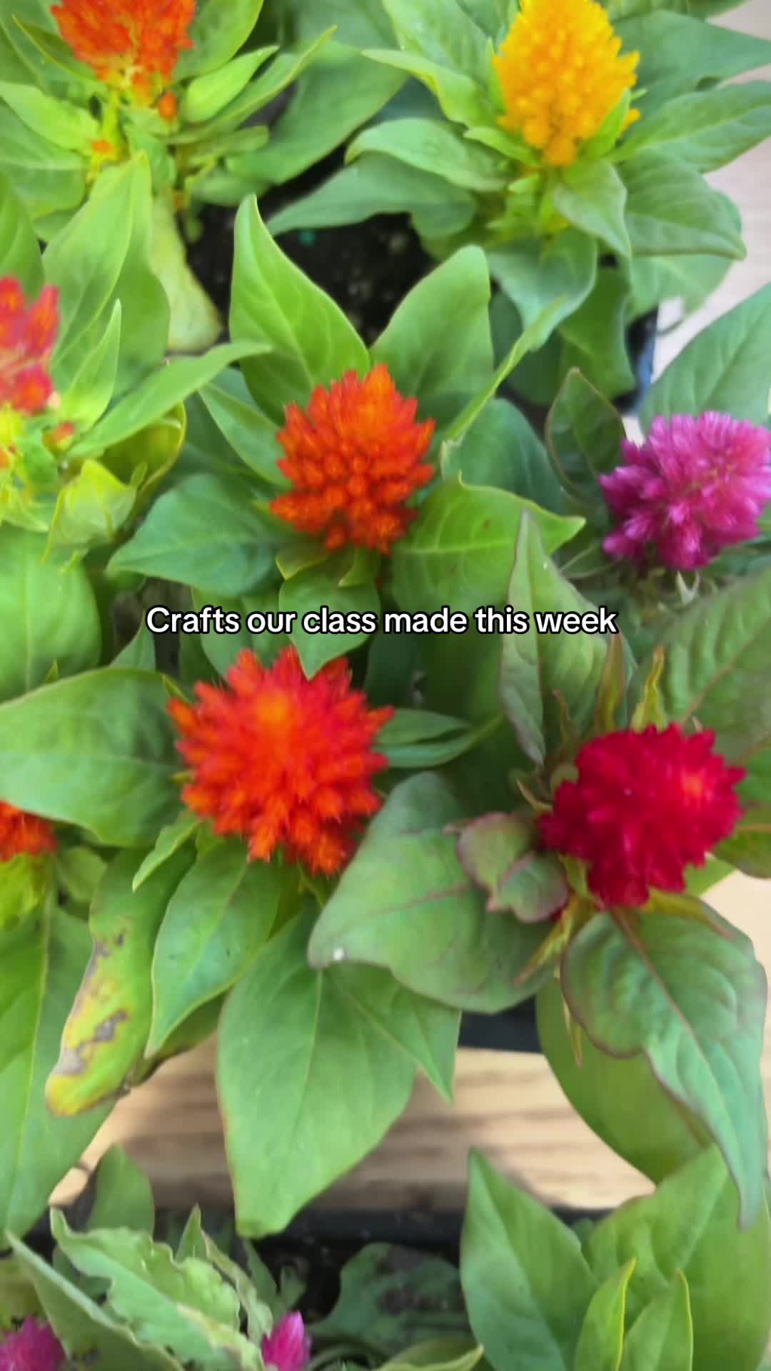 Ashley Rabbit (@msashleyrabbit) - Urlebird