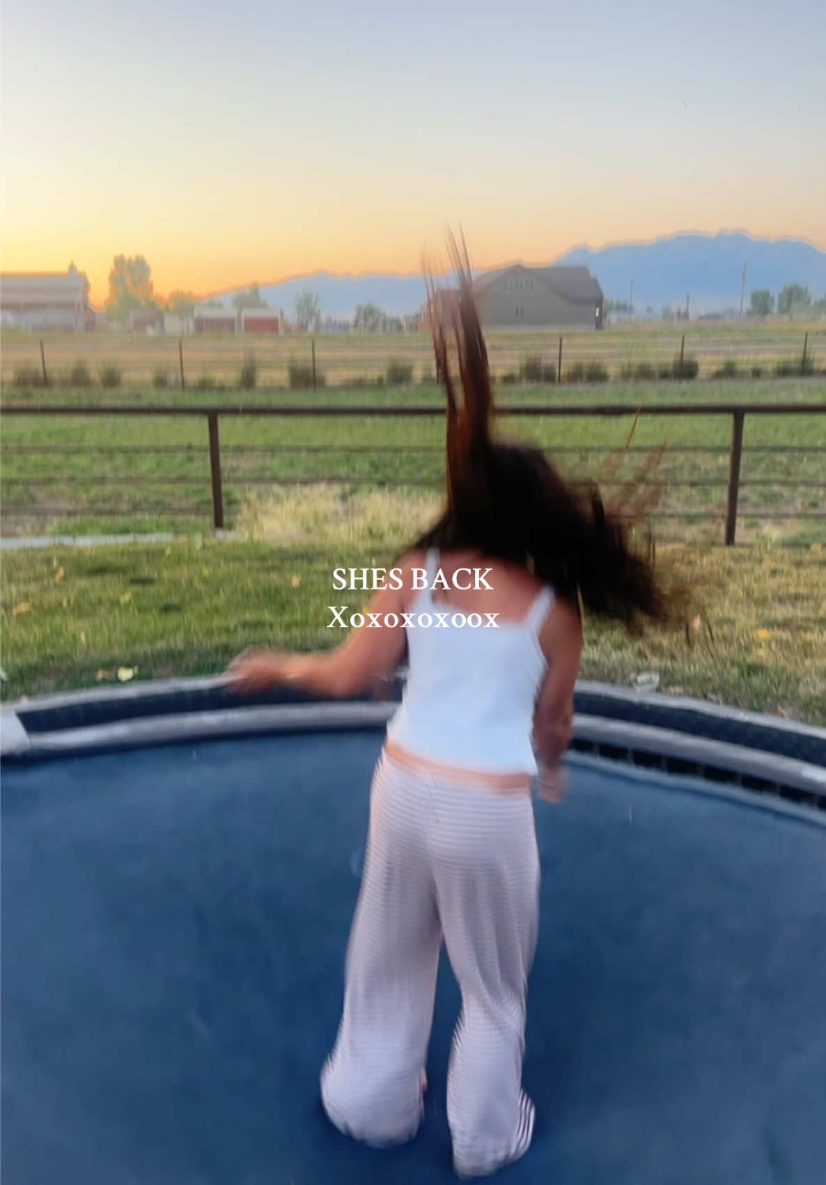 Doggy tv | Sammy⭐️🍒🤑 (@samantha_harb)