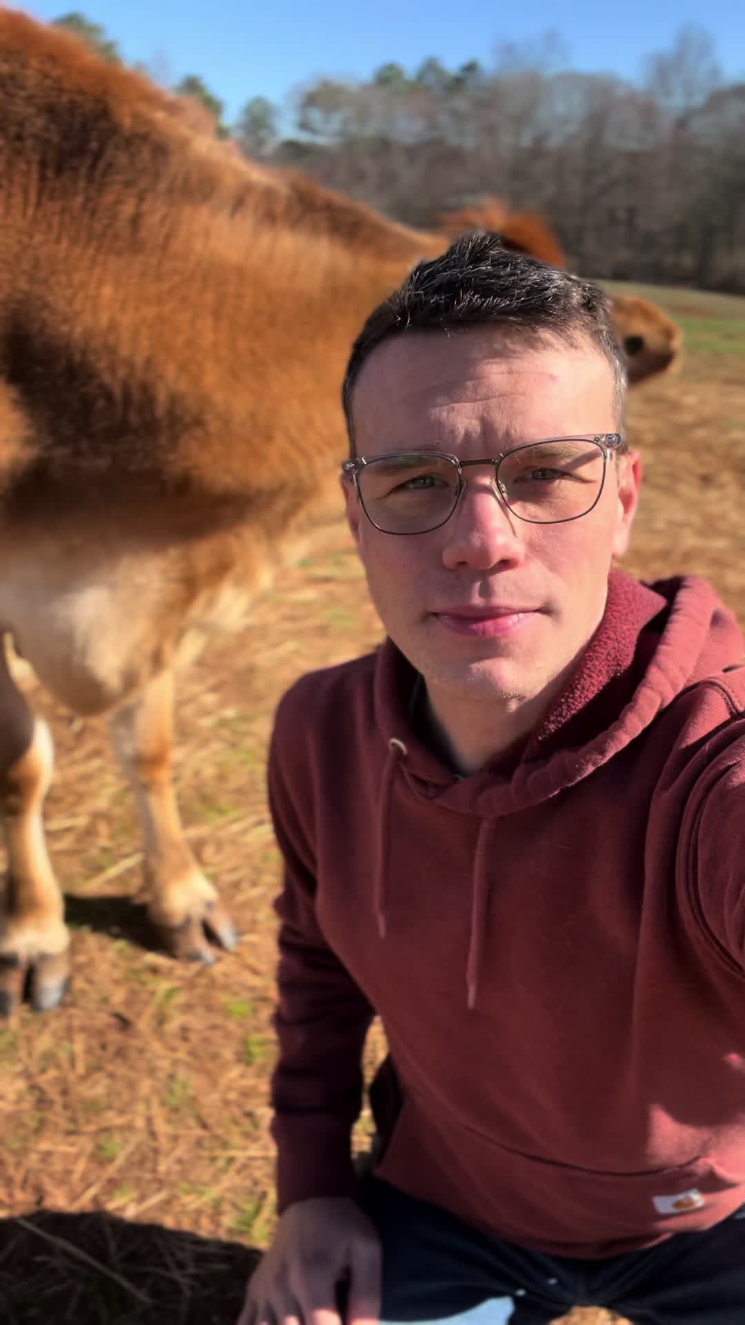 Learning to milk Rosie the Jersey Cow | Jason Chandler Grimes (@jason ...