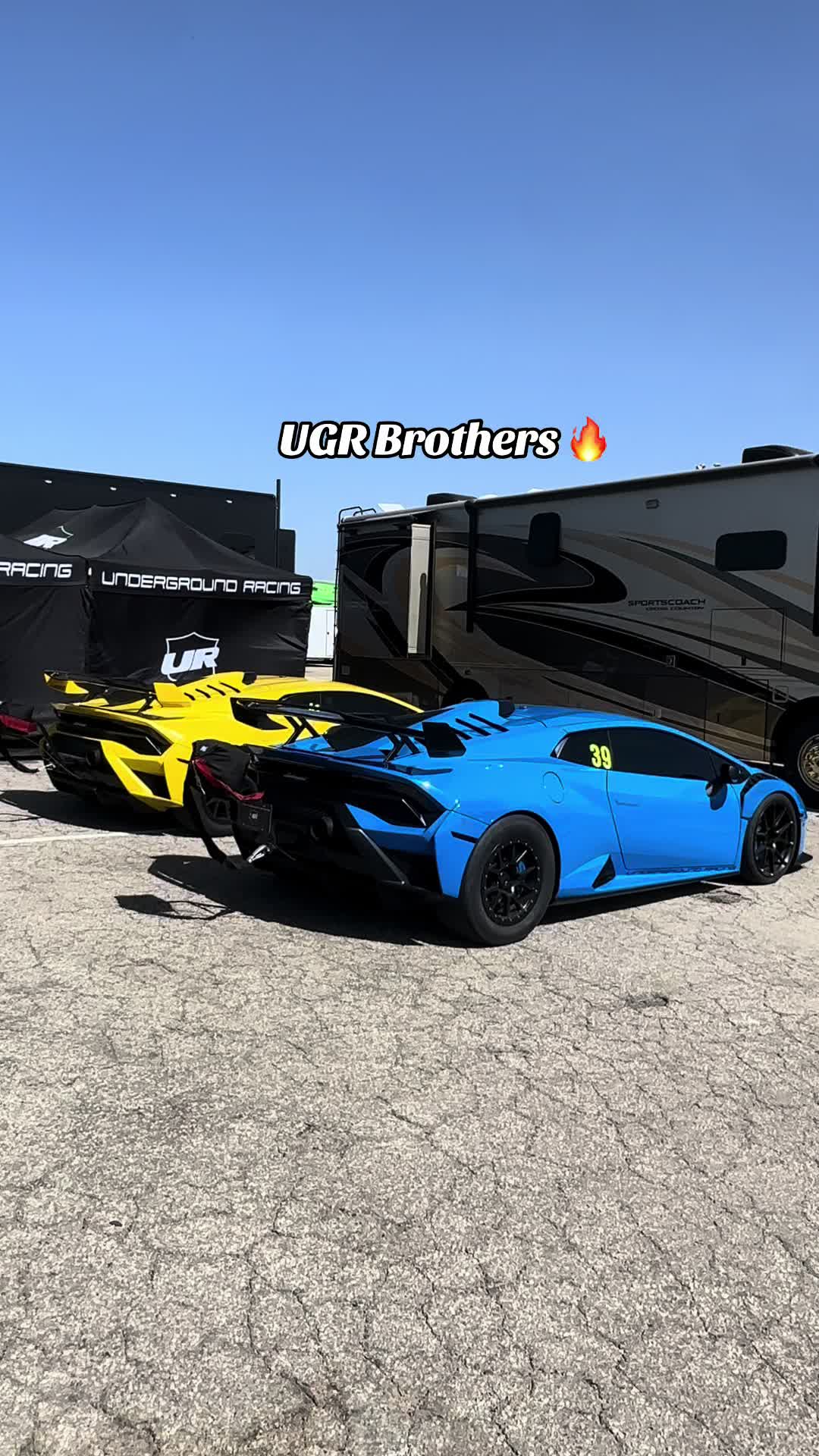 3.58K likes, 54 shares | Sevda Sanaliyeva (@sevdasanaliyeva2022)