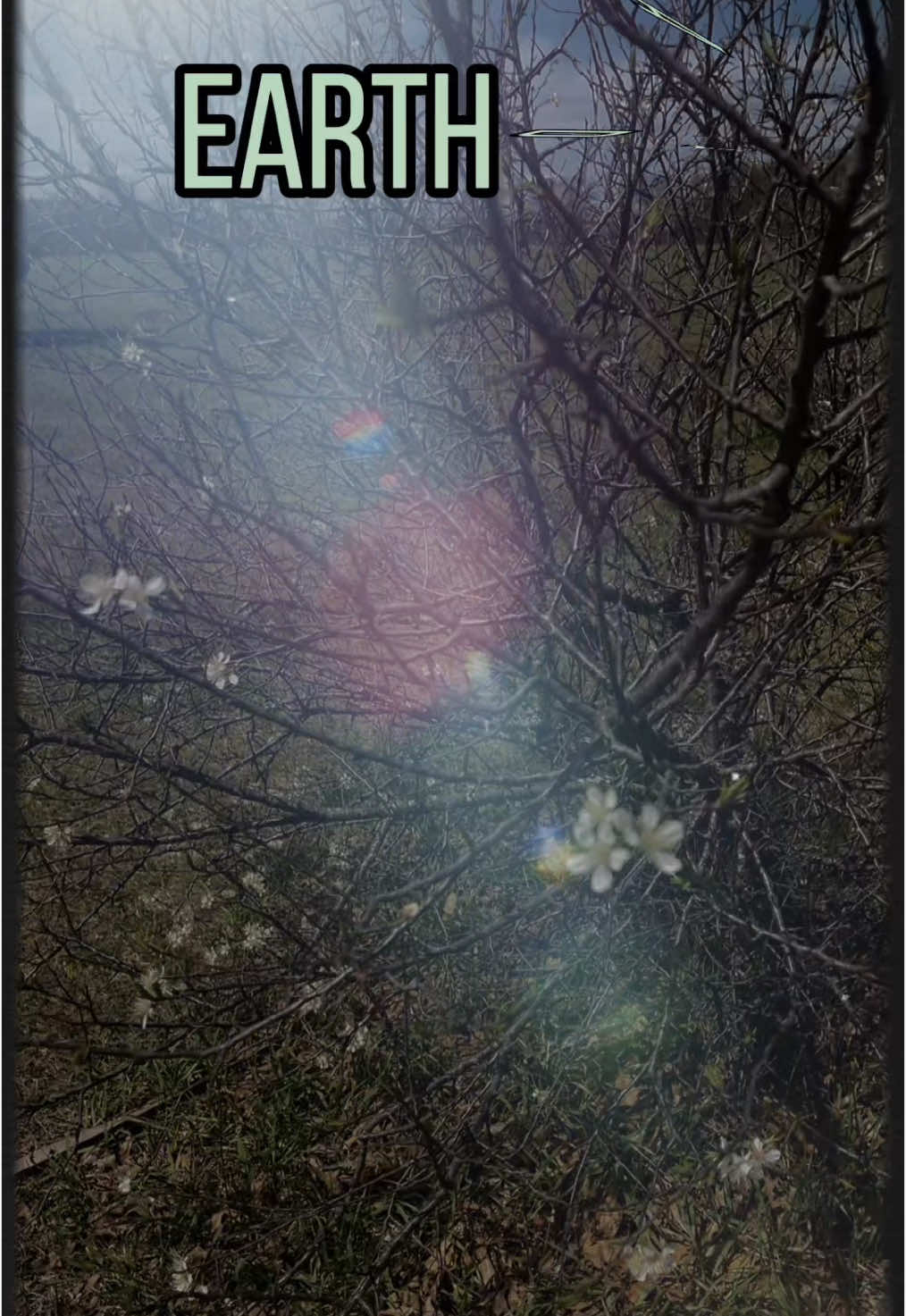 Louise Land 🤍 (@stacy_dollahan) - Urlebird