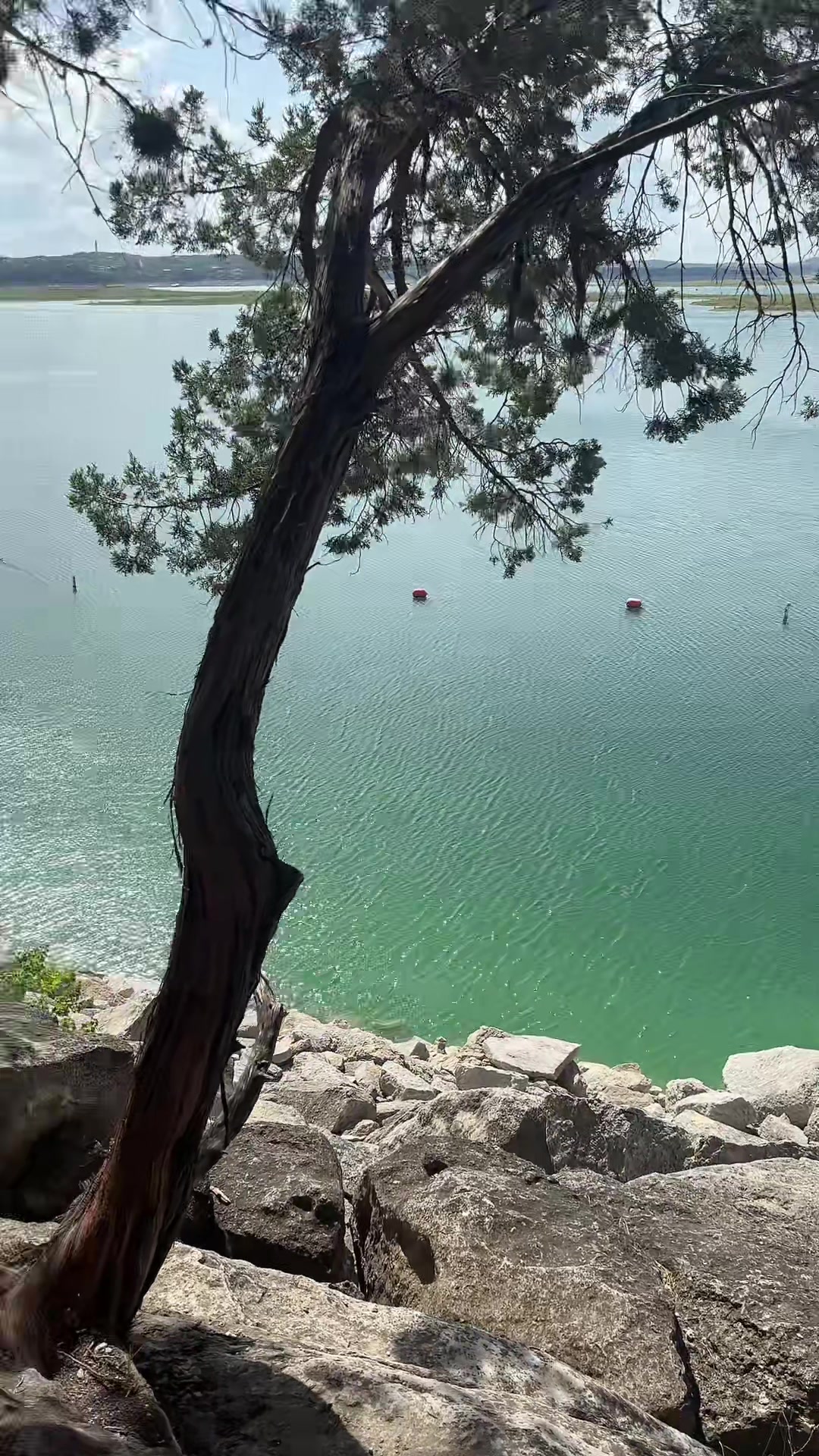 lizzy porter (@thelizzyporter) - Urlebird