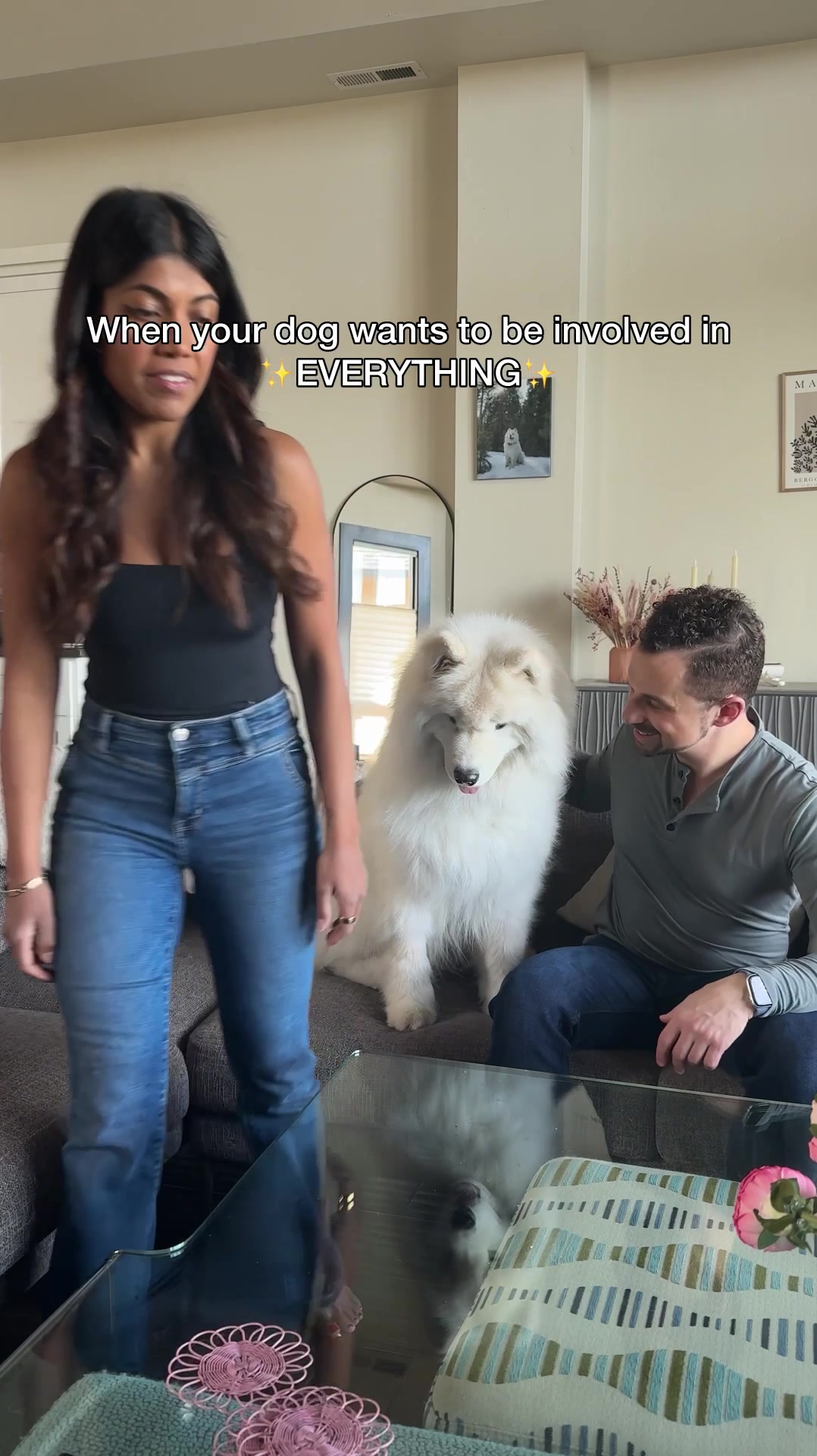 Why do dogs do this? #dog #samoyed | Charishma + Boomer (@life.with.a ...