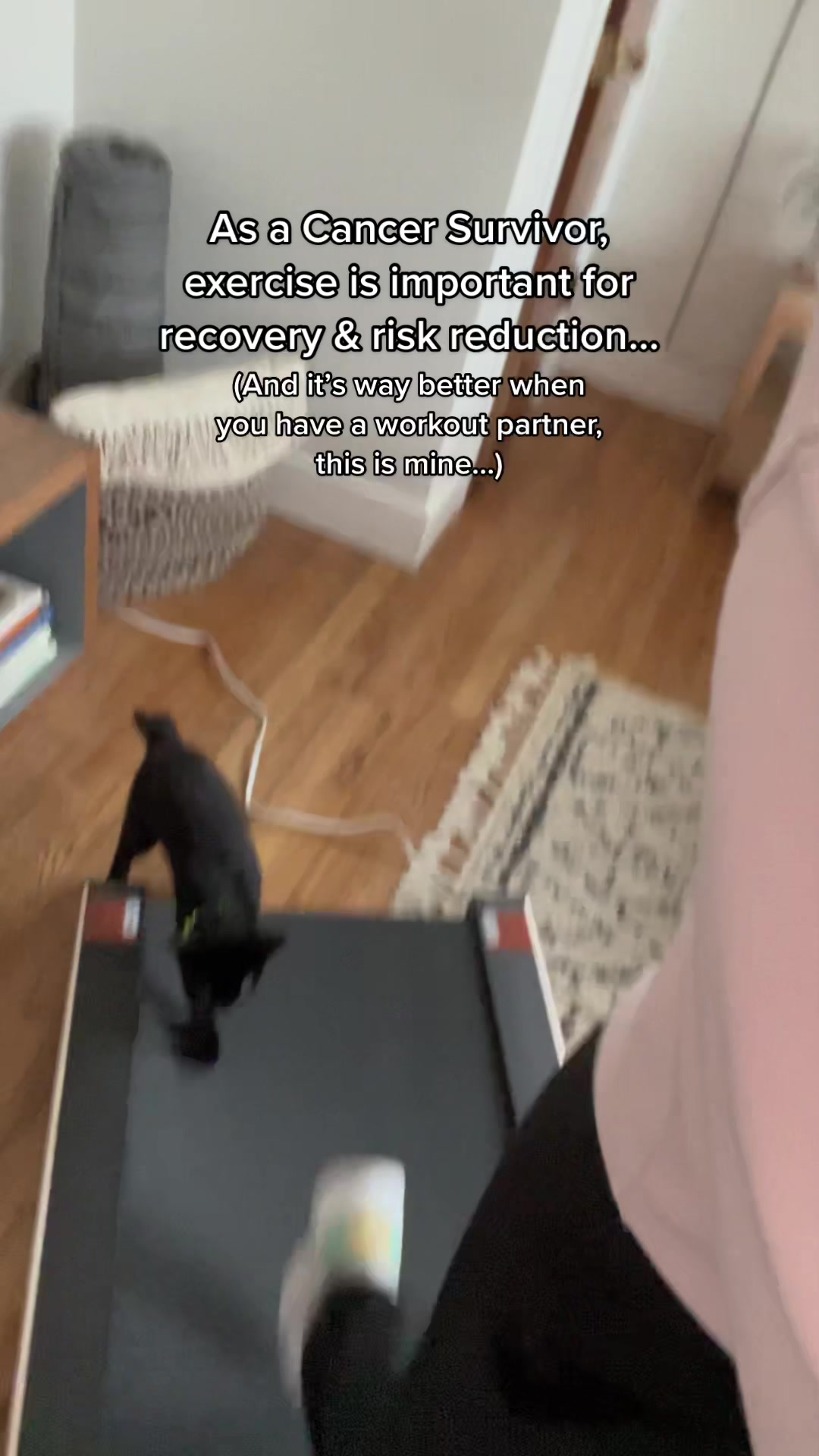 My workout partner 🐈‍⬛ her name is Binx | Dani Trops (@dani_trops)