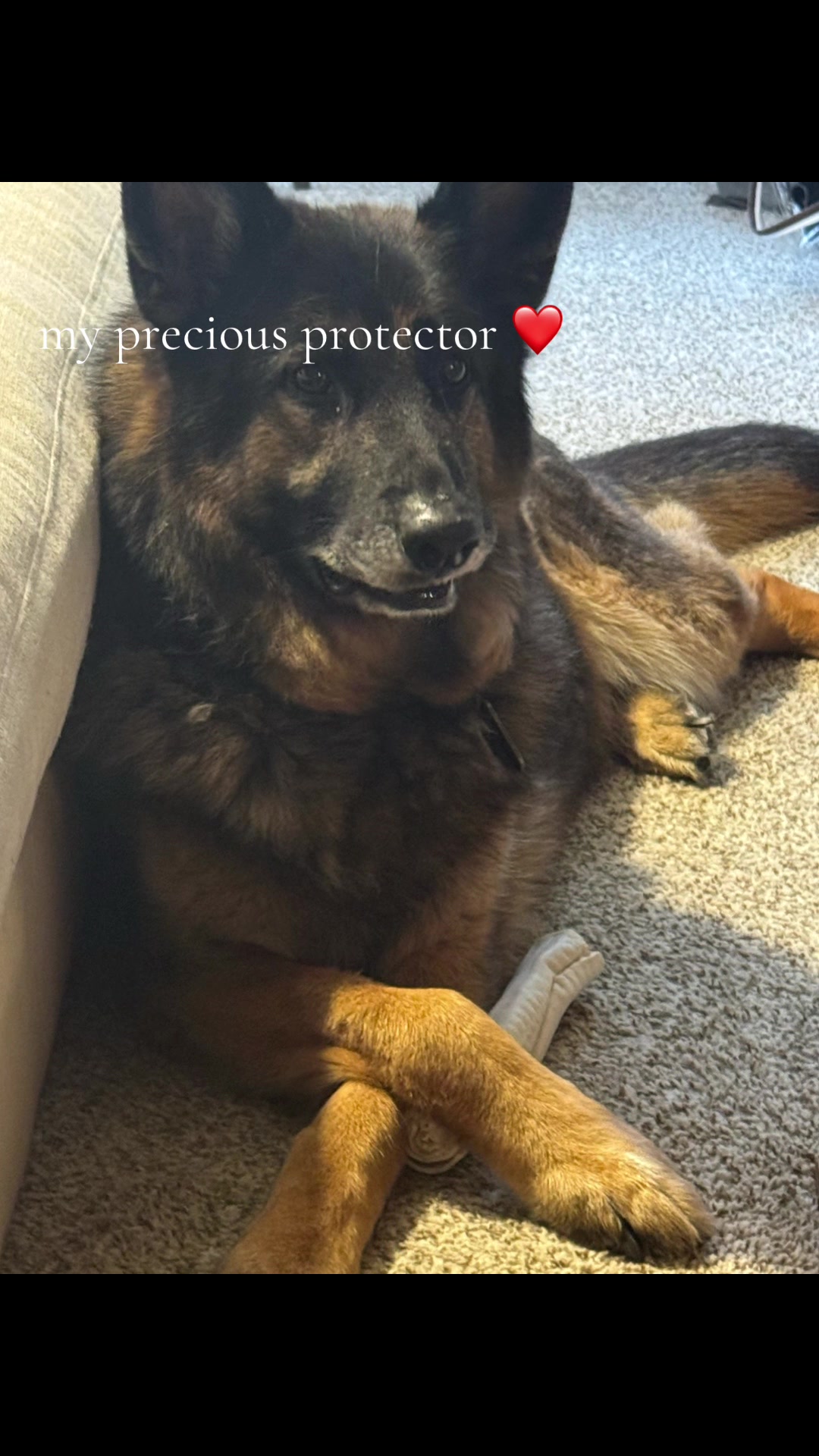 101.35K hearts, 1.78K | נחסם עוד פעם (@peleg_saar)