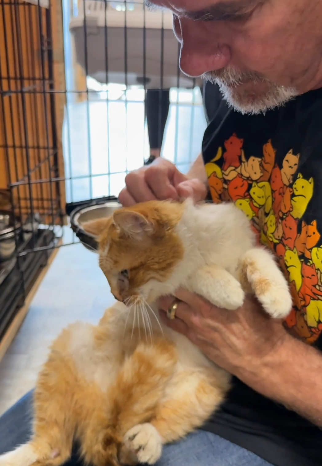 Meet Teddi… another victim of the | David Michael Loop (@davidloop65)