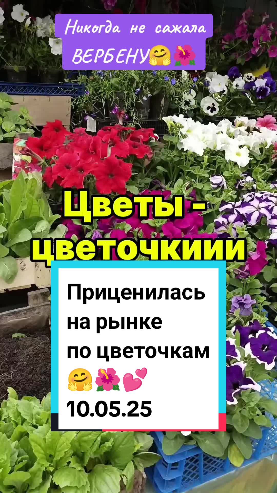 Buzos en So Cippo🔥🔥🔥 #socippo #viral | So Cippo (@socipposhop)