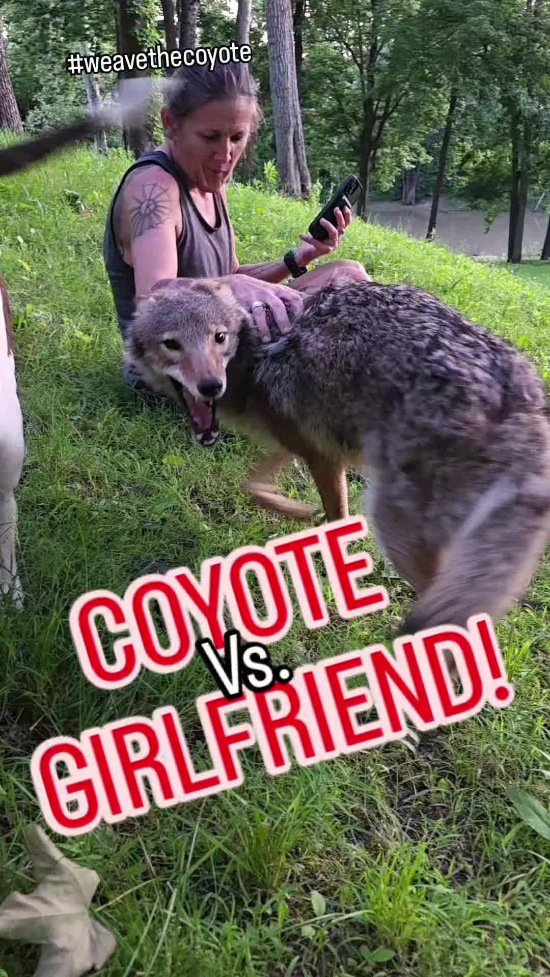 Fact Check: 'Weatherman Loses It | LeadStories (@leadstories)