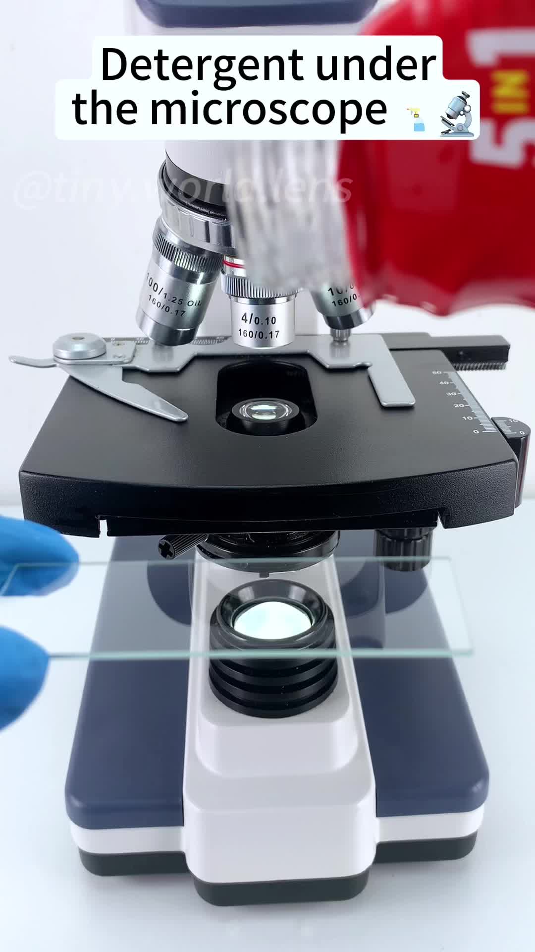 THIS MICROWAVE EDIT IN REAL LIFE | ksenka ⋆˙ (@ksenkanesesh)