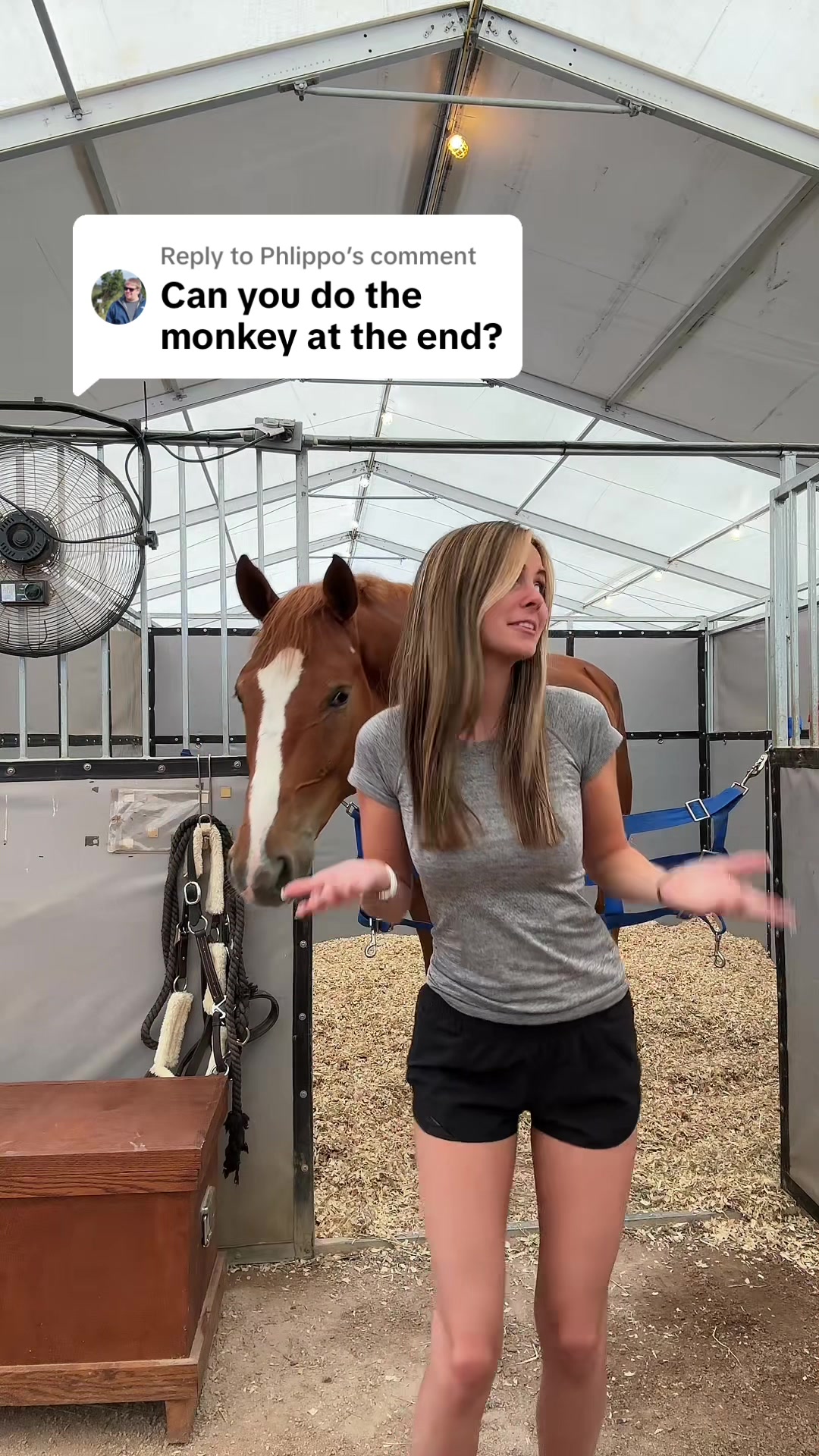 Lexi Smith (@itslexismith) - Urlebird