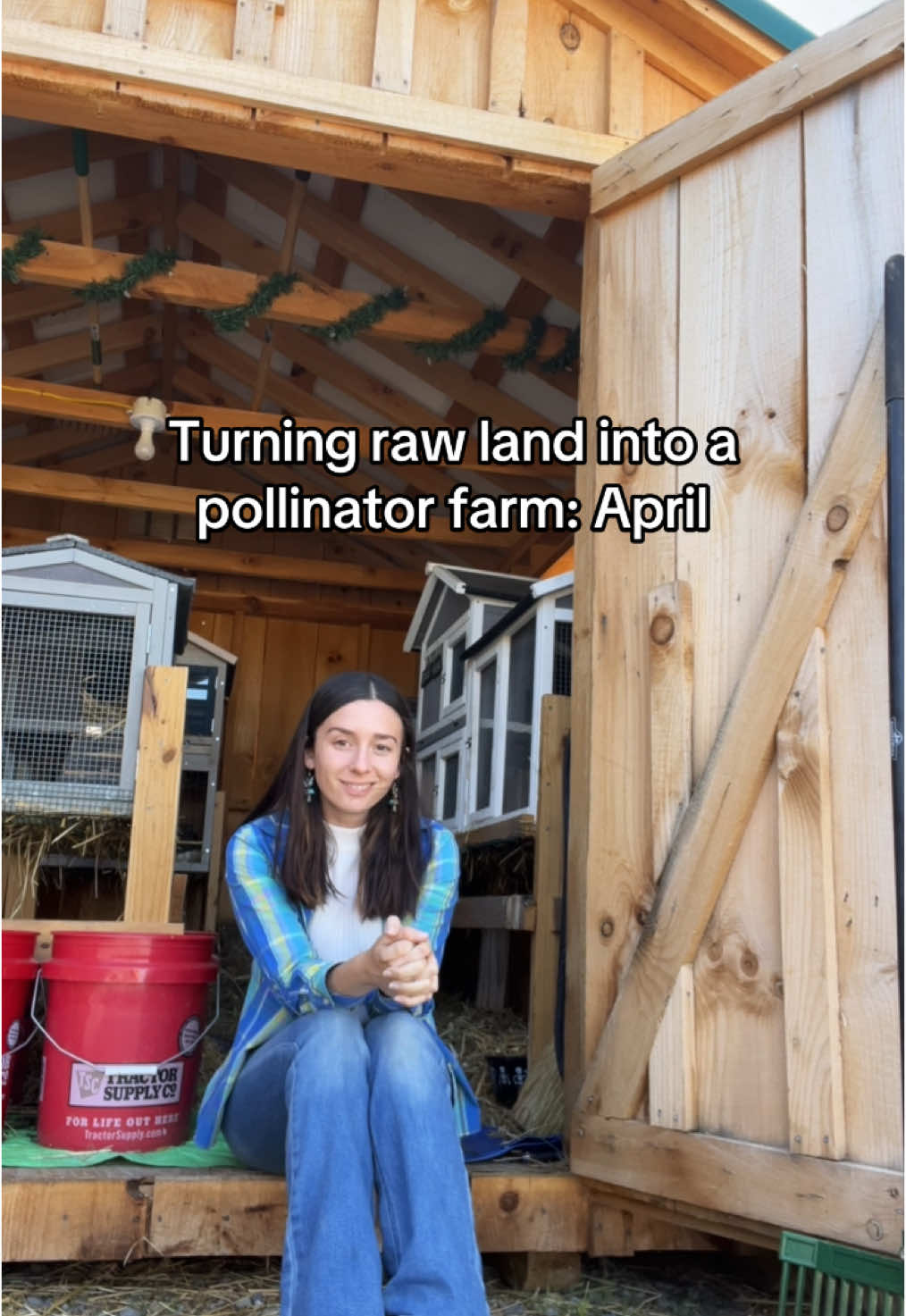 Starting a pollinator farm from scratch | Alex Fasulo (@alexfasulobiz)