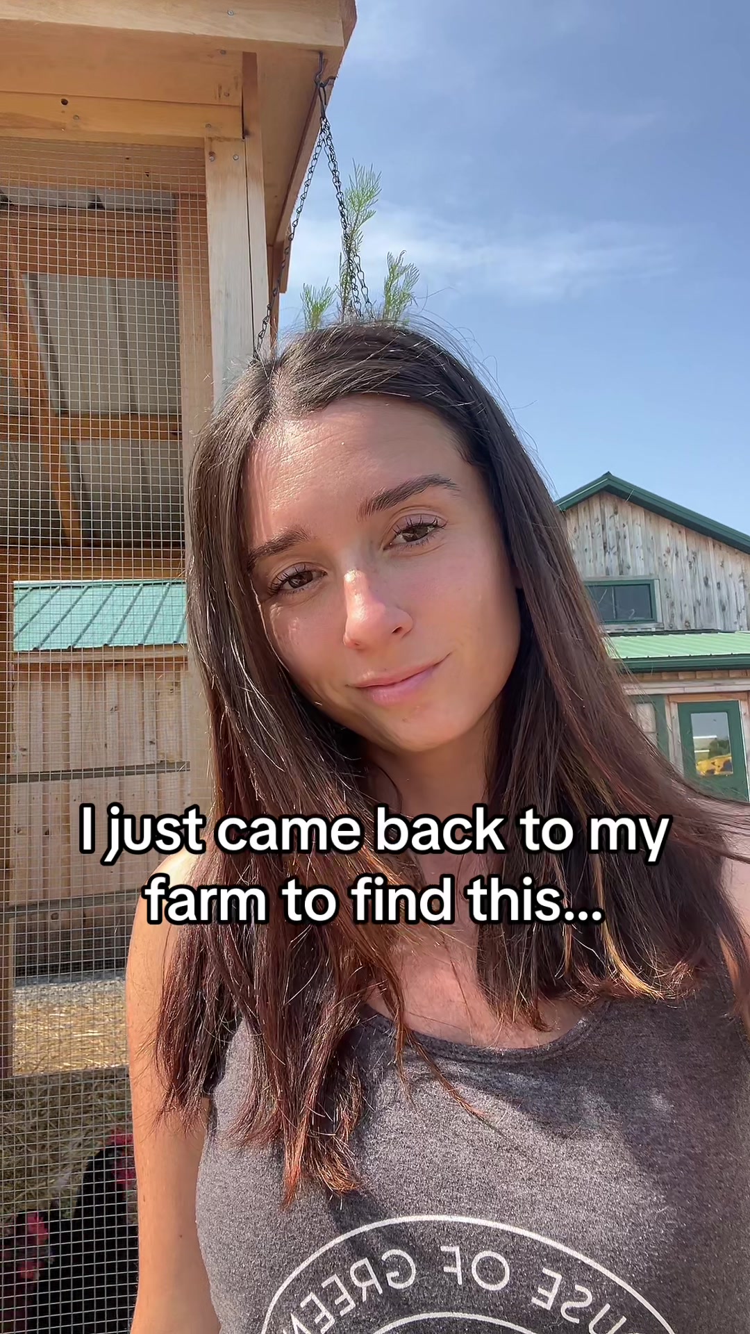 Alex Fasulo (@alexfasulobiz) - Urlebird