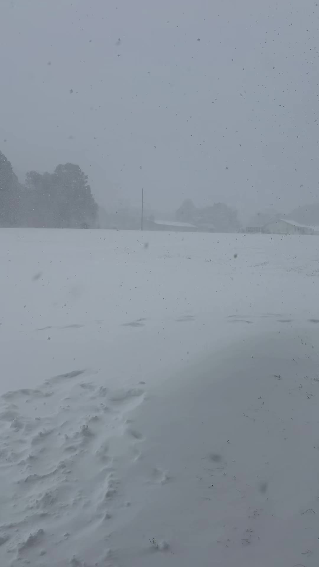 Giantess Aimee Chu Vore And Uvula | Aimee Chu (@aimeechuasmr)