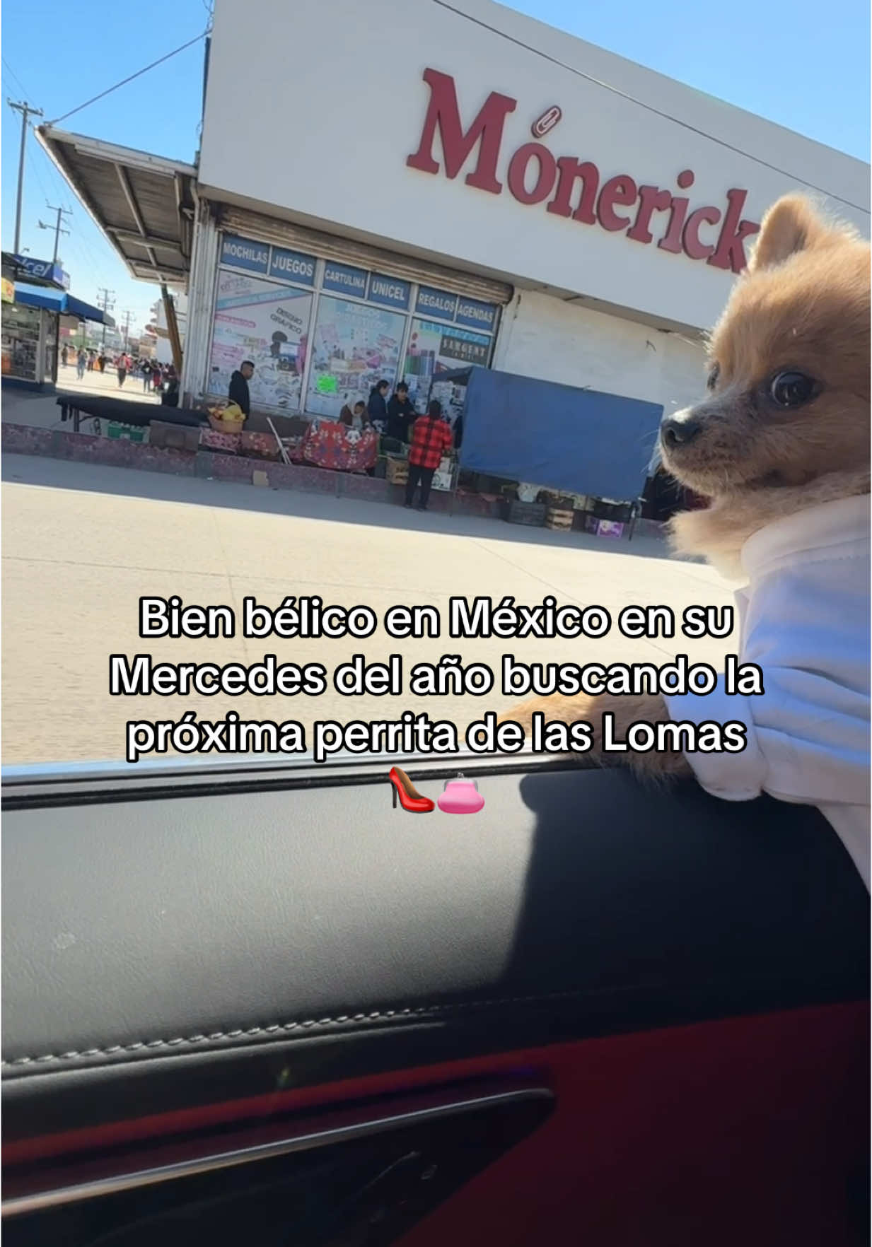 i have so maby drafts ill post more | ash🐝 (@ashisbees)