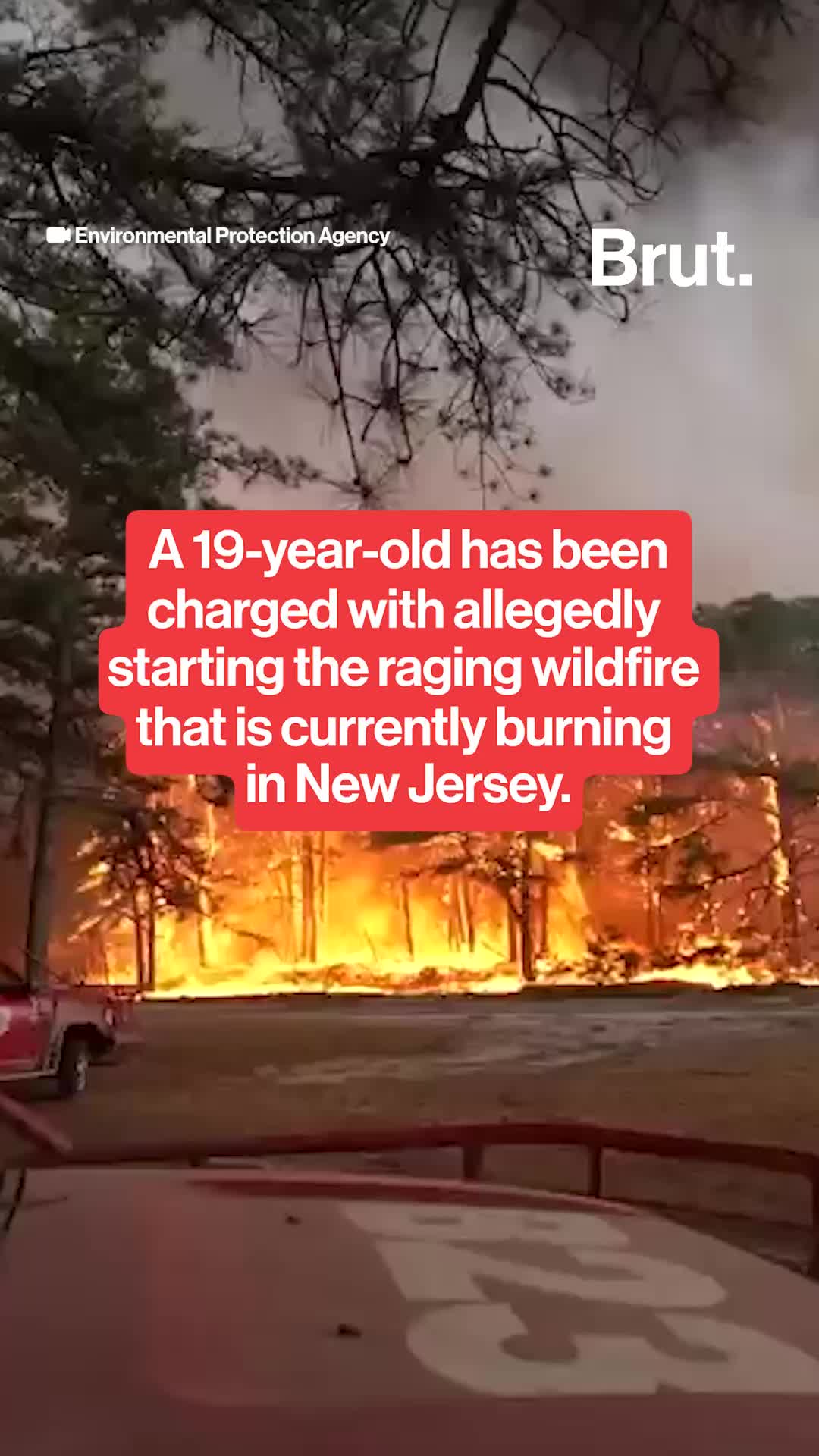 970 hearts, shares, 110 | Ana taylor (@itsanataylor)