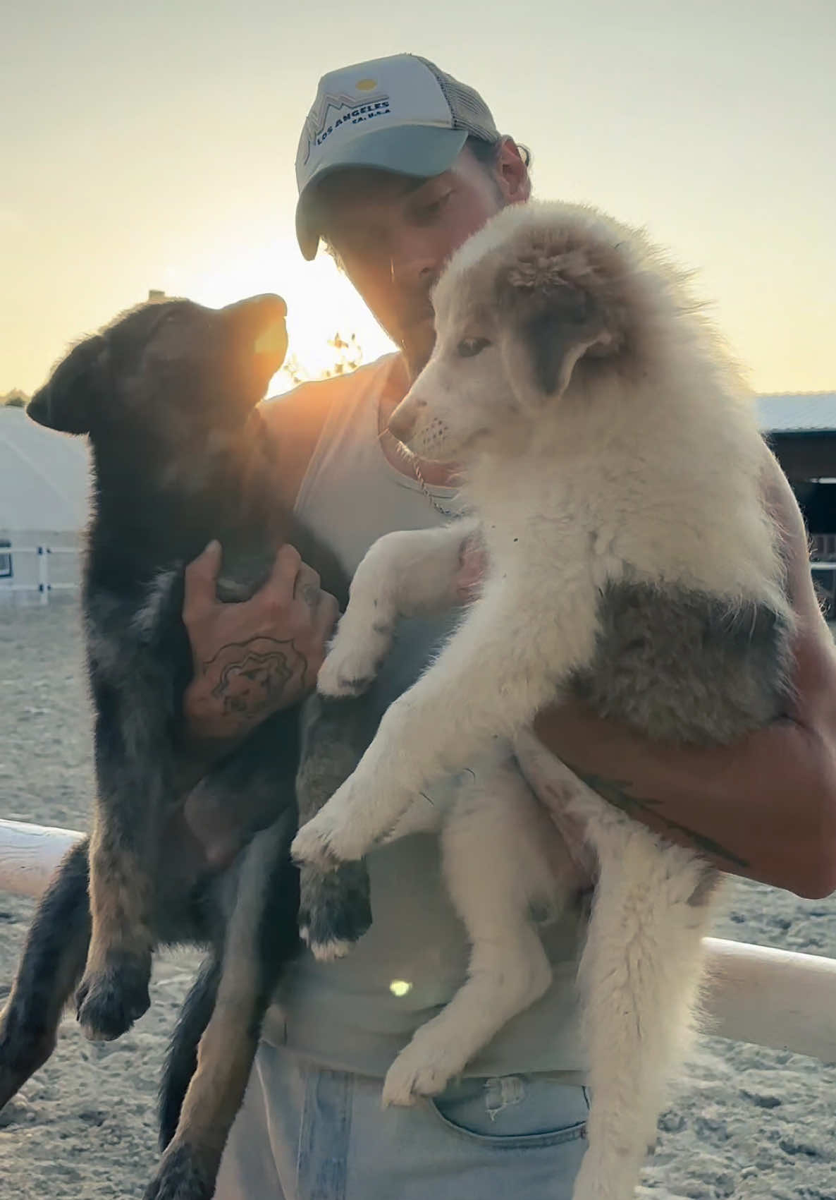 🦄 @quentin.emery - Quentin Emery - TikTok