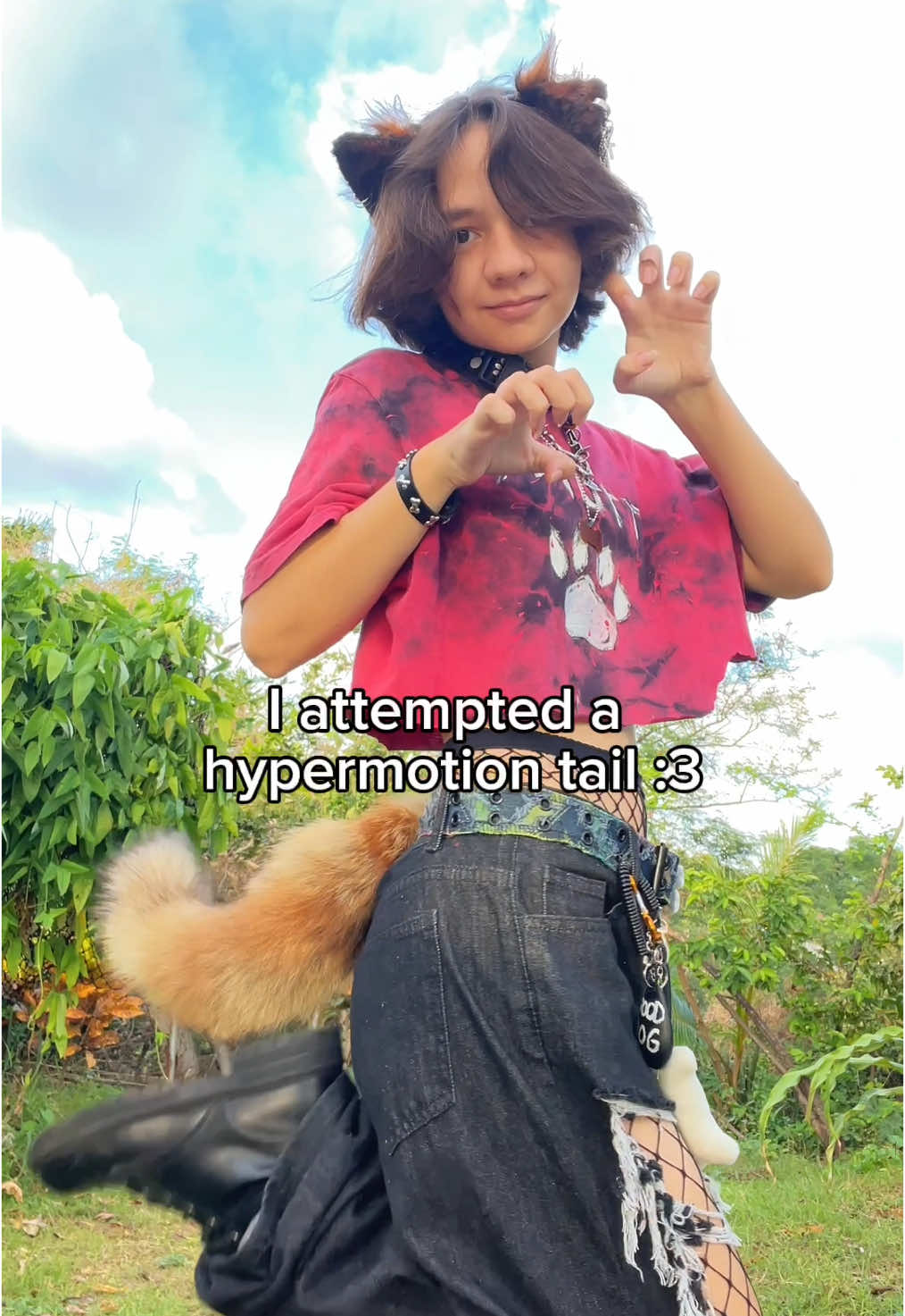 🦄 @phenicfox - ˗ˏˋ Phenic ★ ´ˎ˗ - TikTok