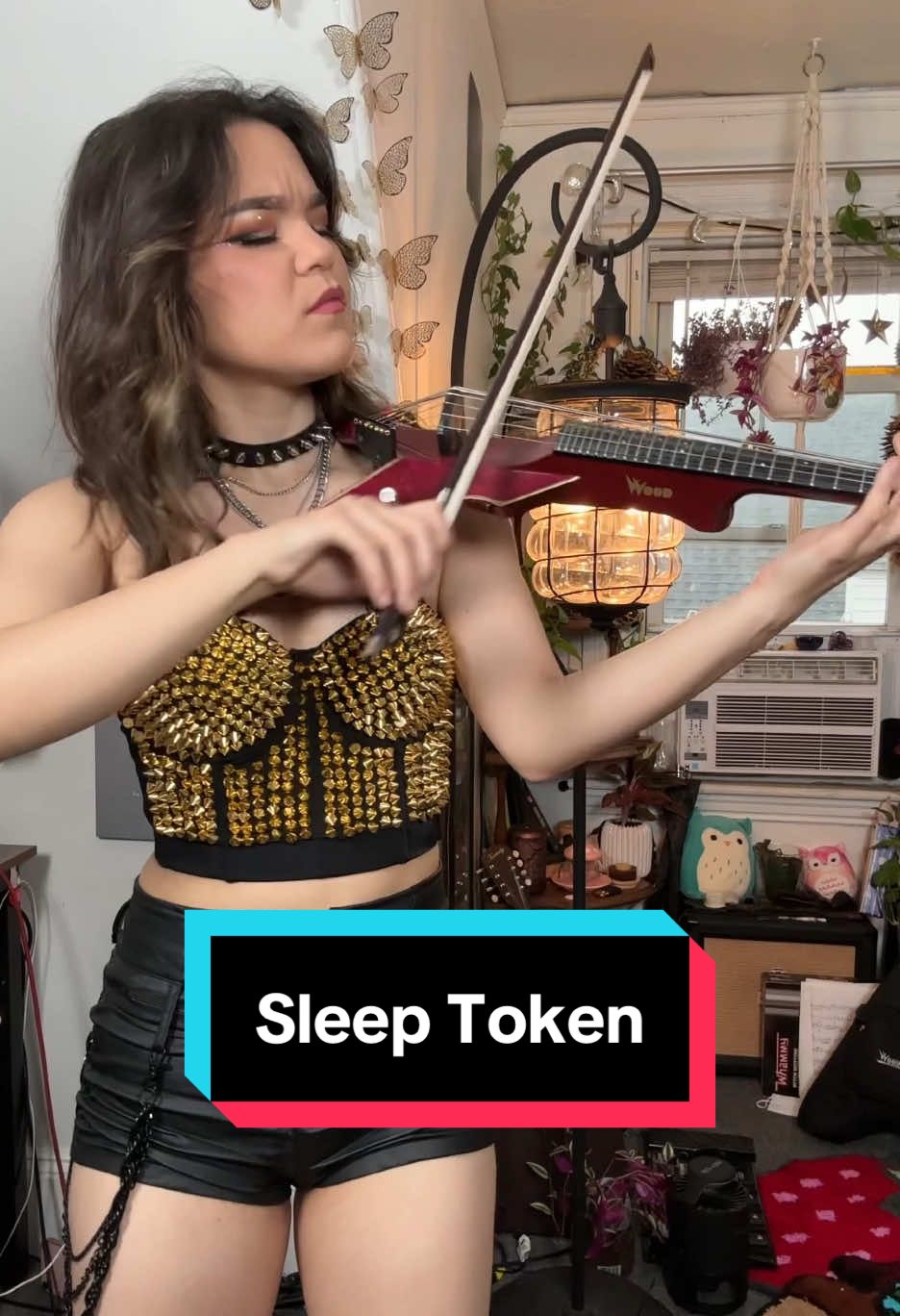 The video cut off but here is two new | Arianna Perez ...