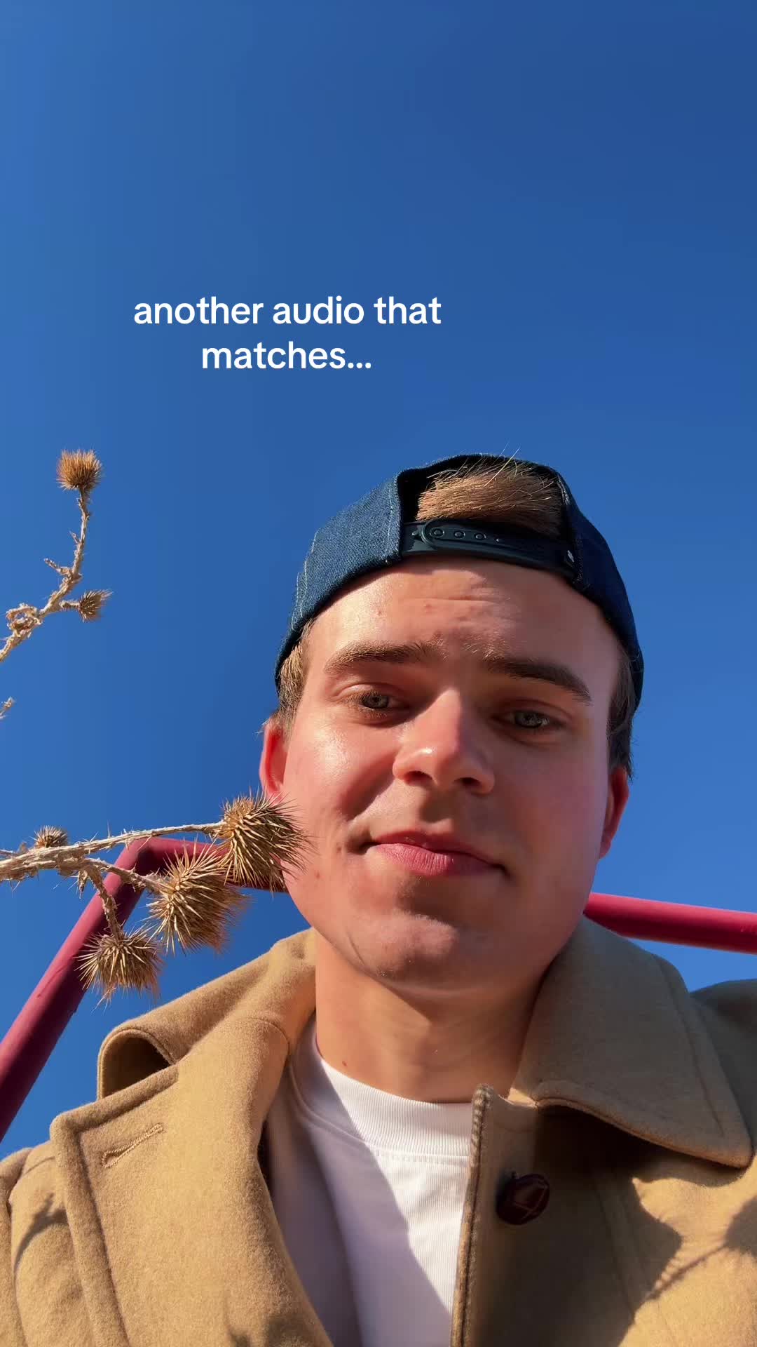 🦄 @n1ckwilkins - Nick Wilkins - TikTok