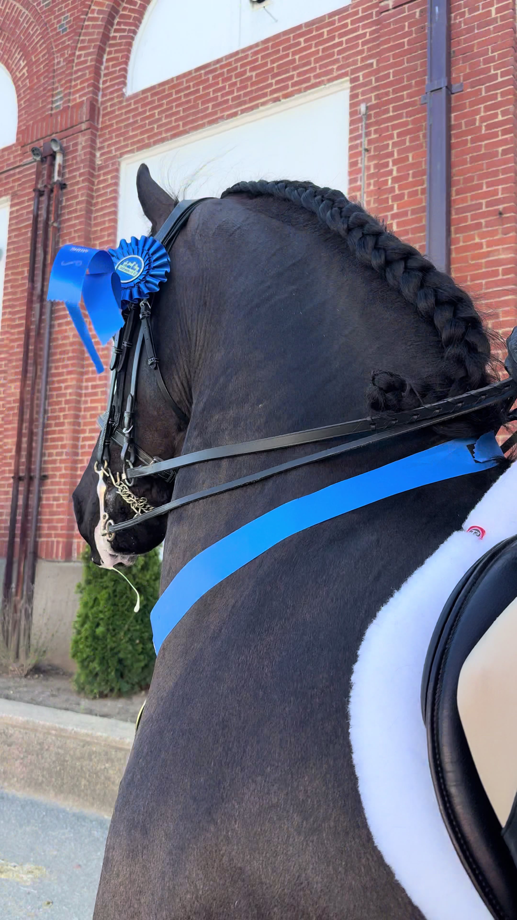 I Am Cat - How to Unlock the REAL | itsdavidduggan (@itsdavidduggan)