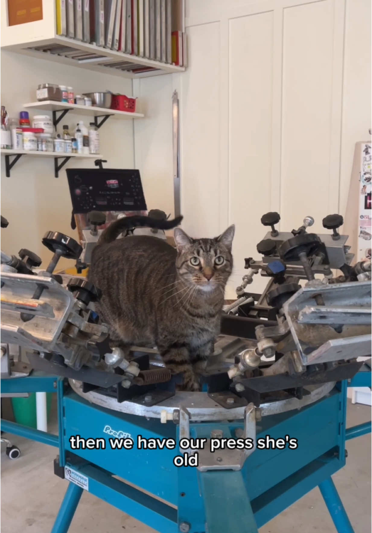 Number 1 Blade Ball Player vs Nifty 💀 | Nifty (@nifty.tok)