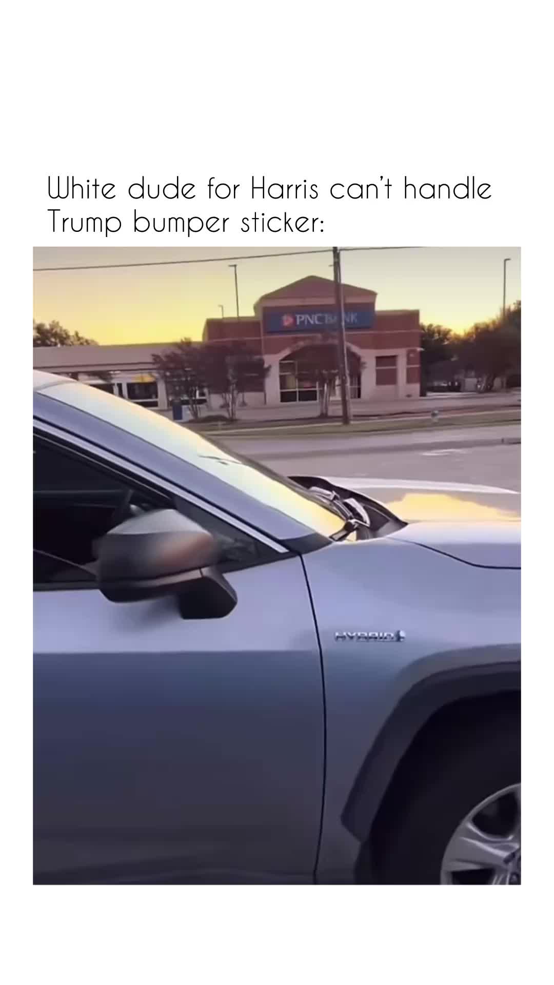 🦄 @libsmemecentral - Liberal Meme Central - TikTok