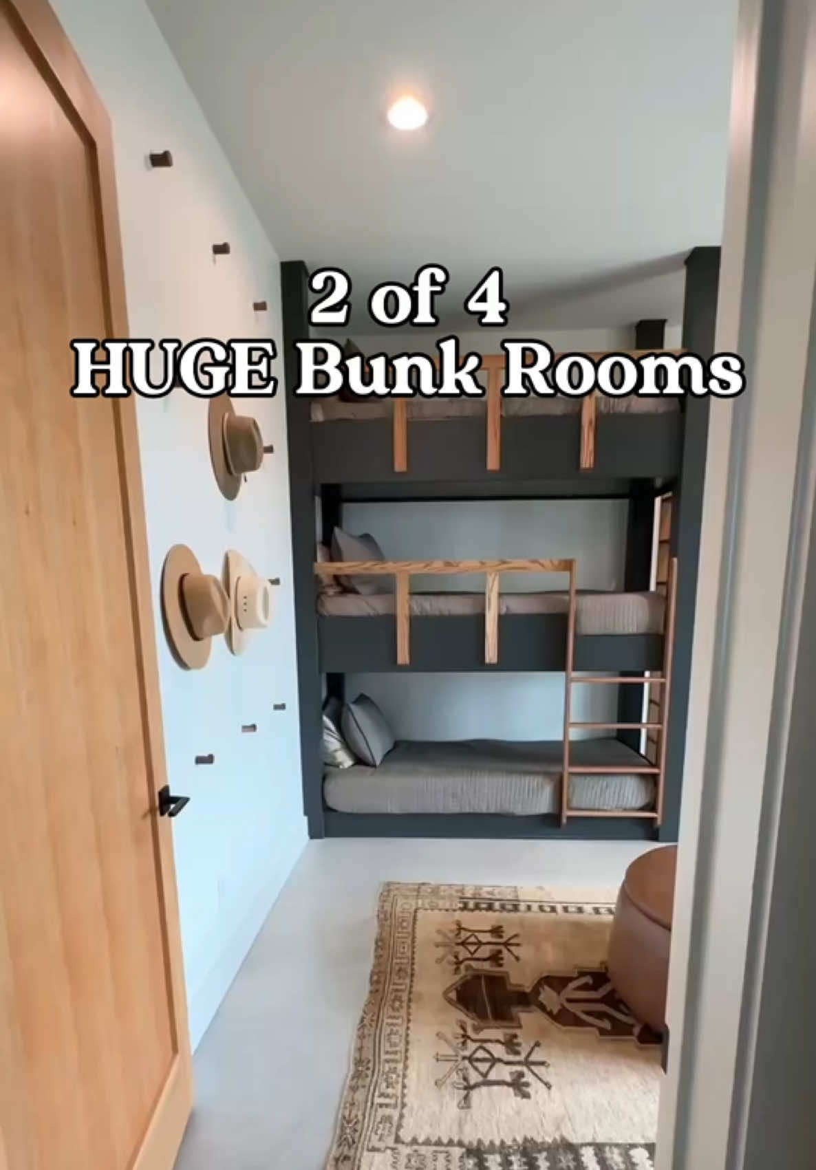 Vanlife mit Bestbuddy #chihuahua | Linda Lanu (@linda.lanu)