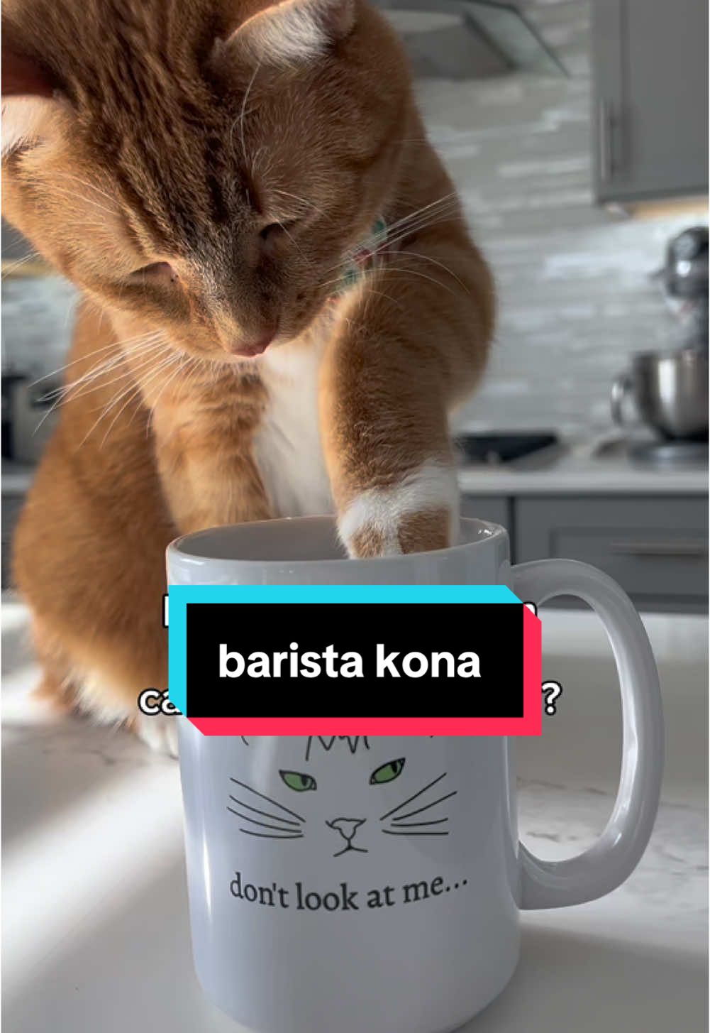 Sigma boy 시그마 보이 #dance #ダンス #sigma #이도 | ☘️이도 leedo☘️ (@leedo0804 ...