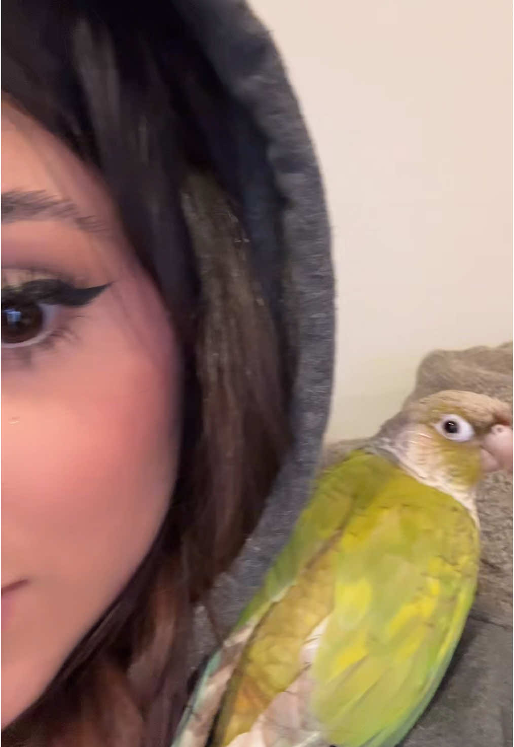 اغنية اسيا و دوروك كاملة و مترجمة اغنية | اسيا&دوروك (@k_r_a_r_250)