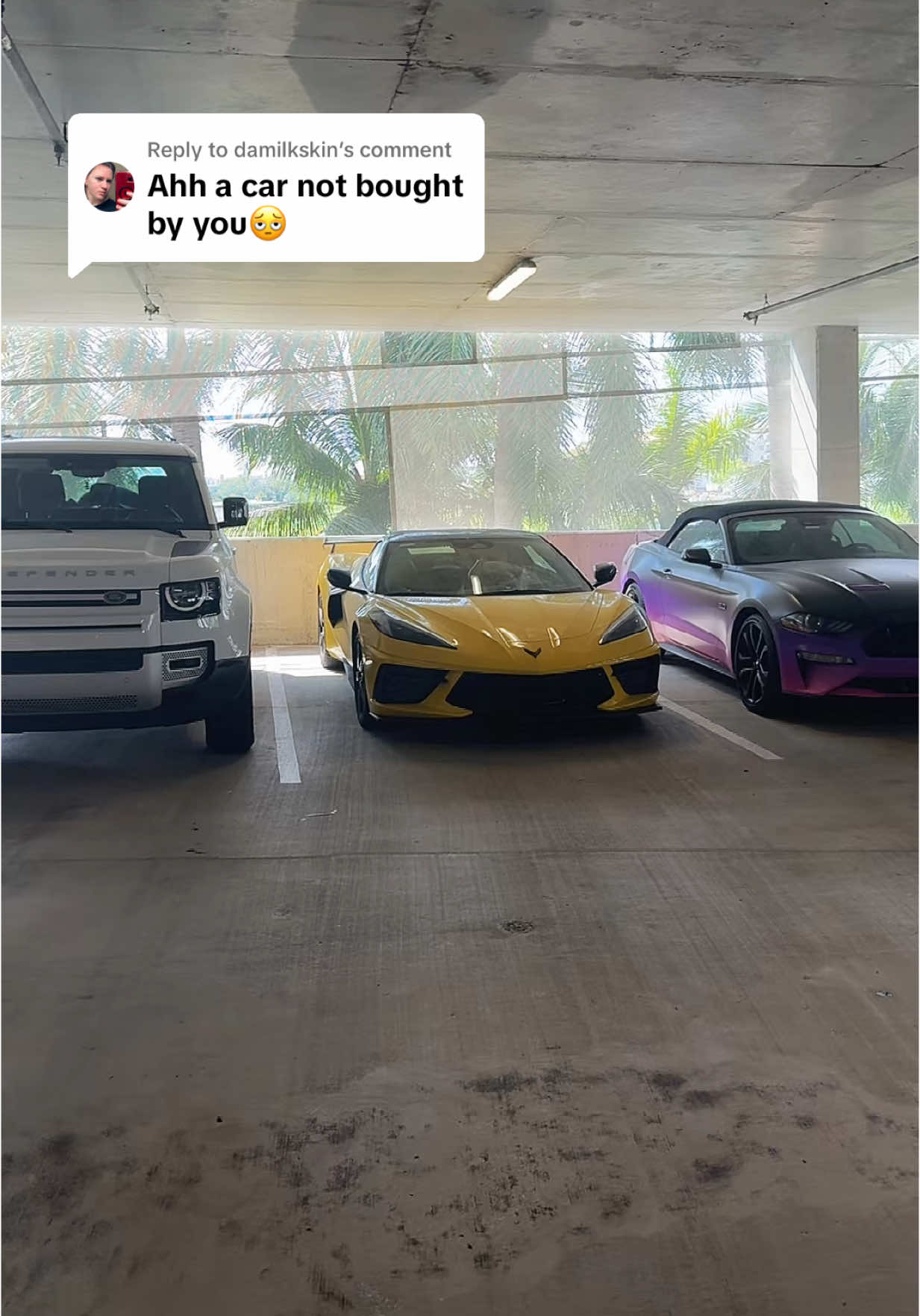 may (@miamimacy) - Urlebird