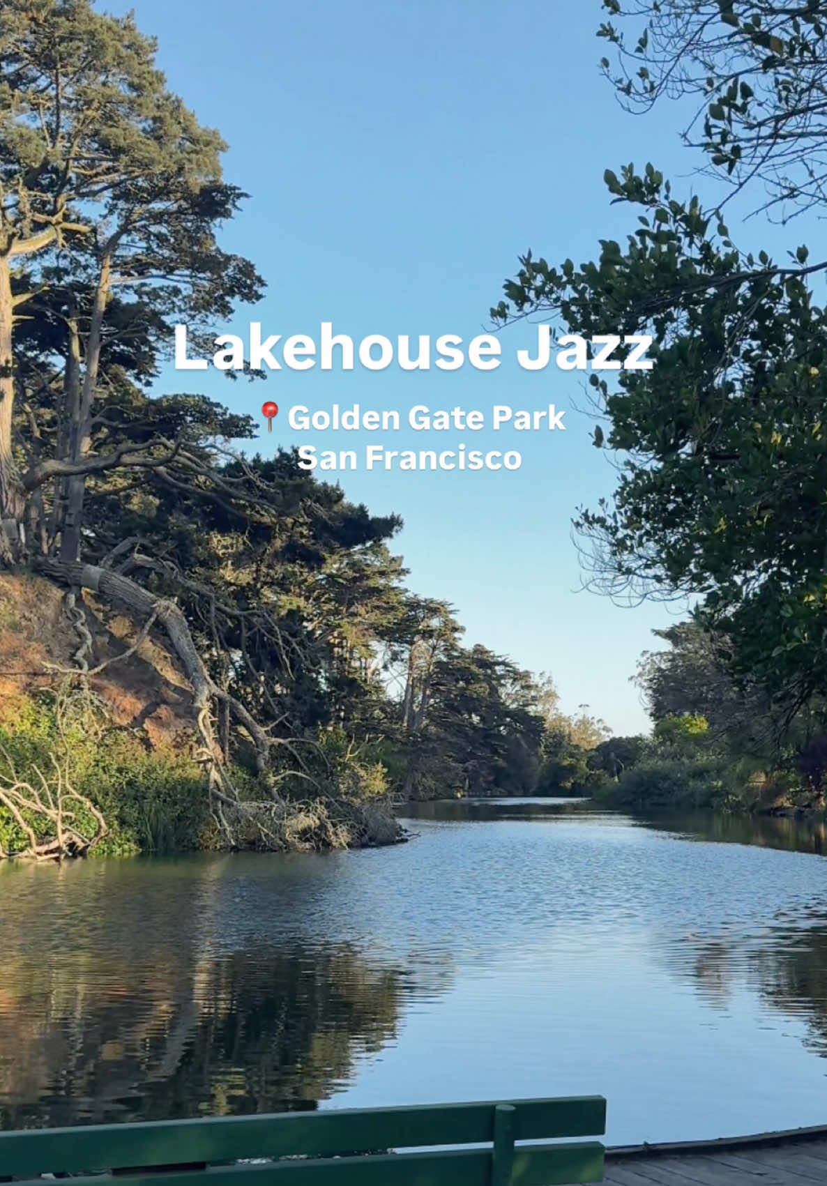 orig id/ happy bat freak's day | albertini (@0lbertini)