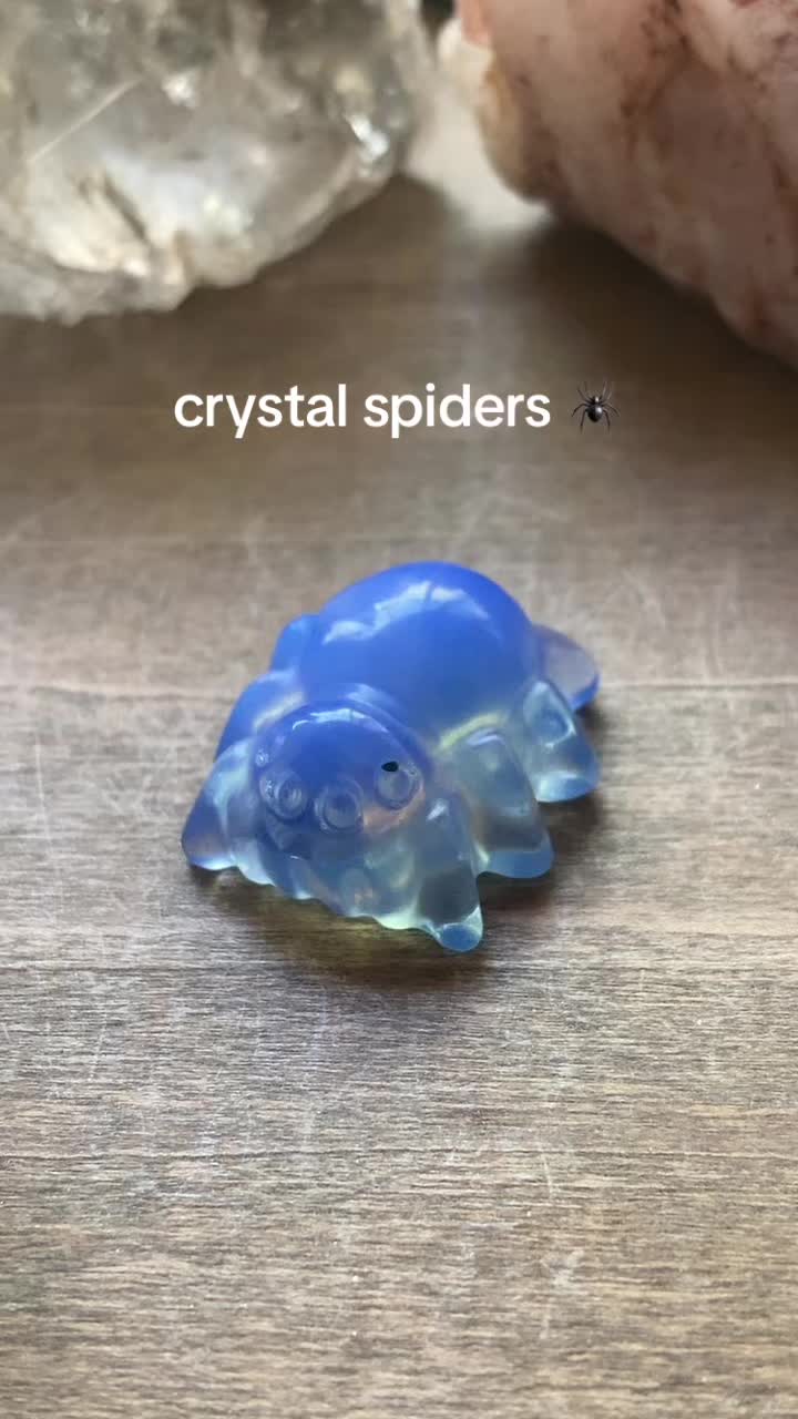 Some of my favorite spider totems 🕷 The | Raven Crystals (@ravens.crystals)