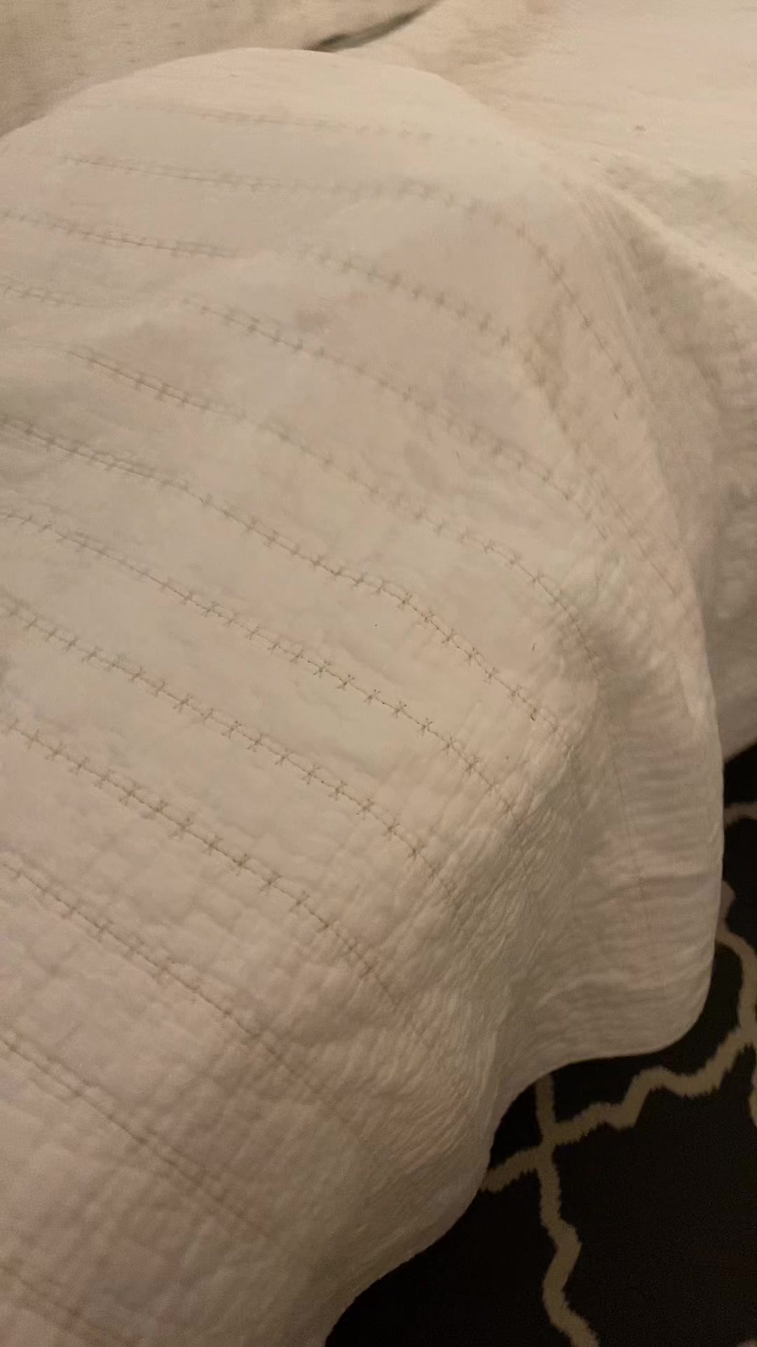 What’s that lump in the couch? Lol | Smudgy (@dizsmudgy)