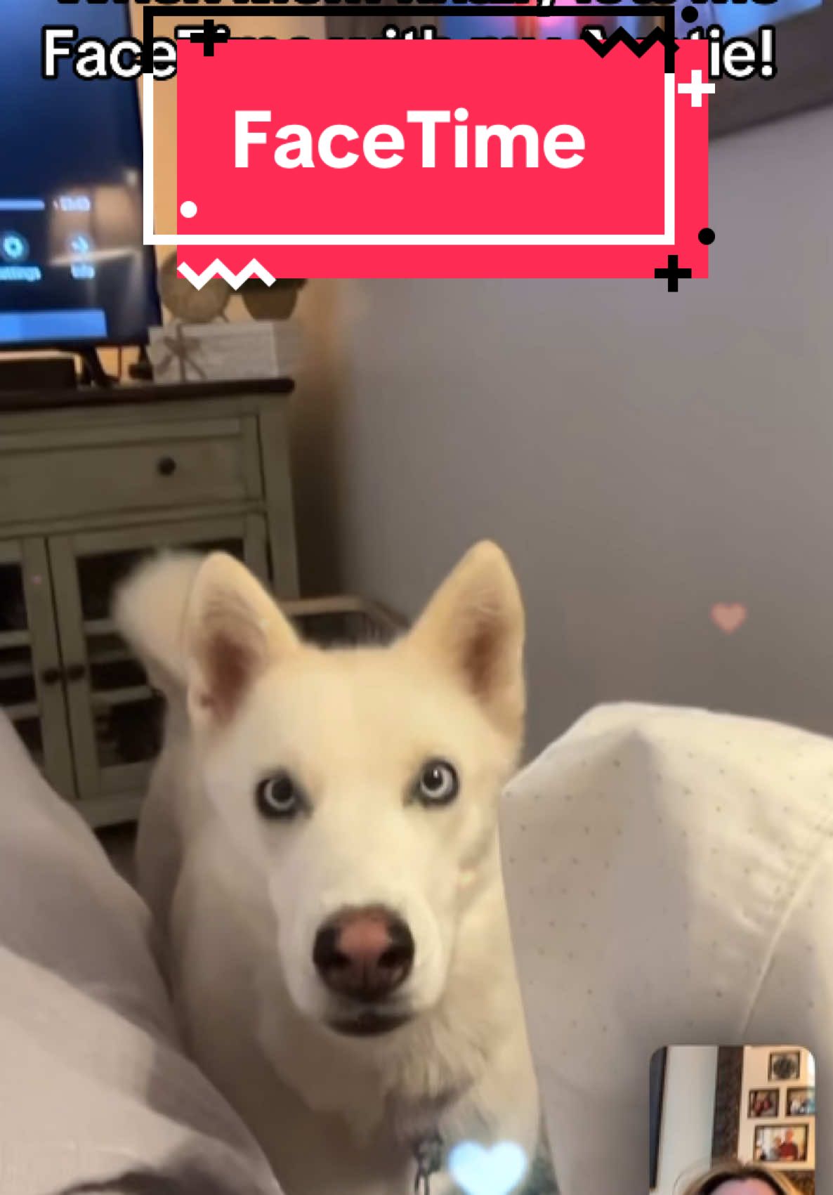 Very much packed all of these for my | Anna renn💋🇪🇹 (@annarennsworld)