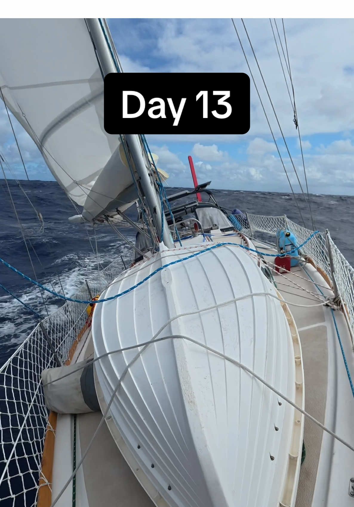 sailing_with_phoenix (@sailing_with_phoenix) - Urlebird