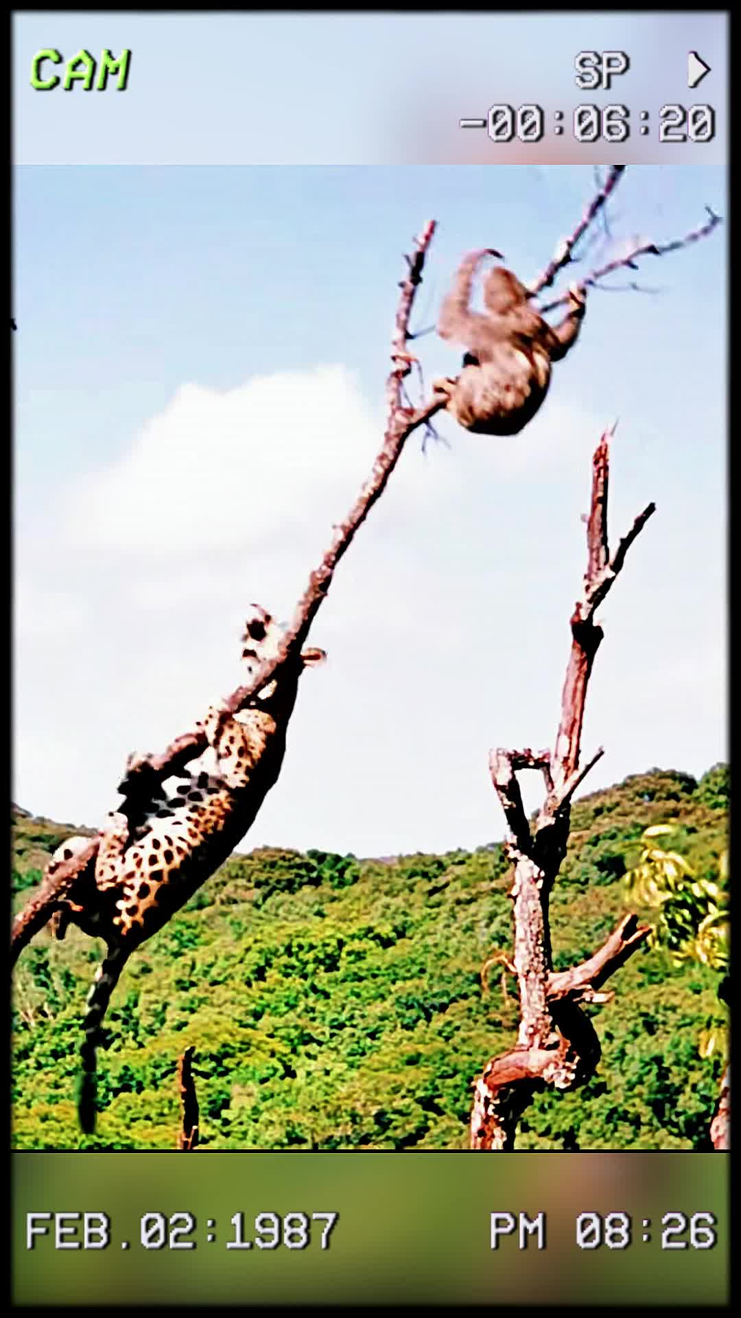 🎙️MIC’D UP ISSY🎙️ - EXERCISES FOR GROIN | George Plank (@_georgeplank_)