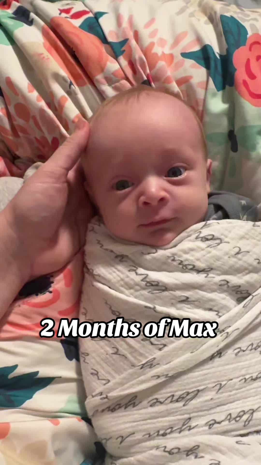 Do you think I could clean like this | sadtigergirl (@snowcrazyfrenzy)