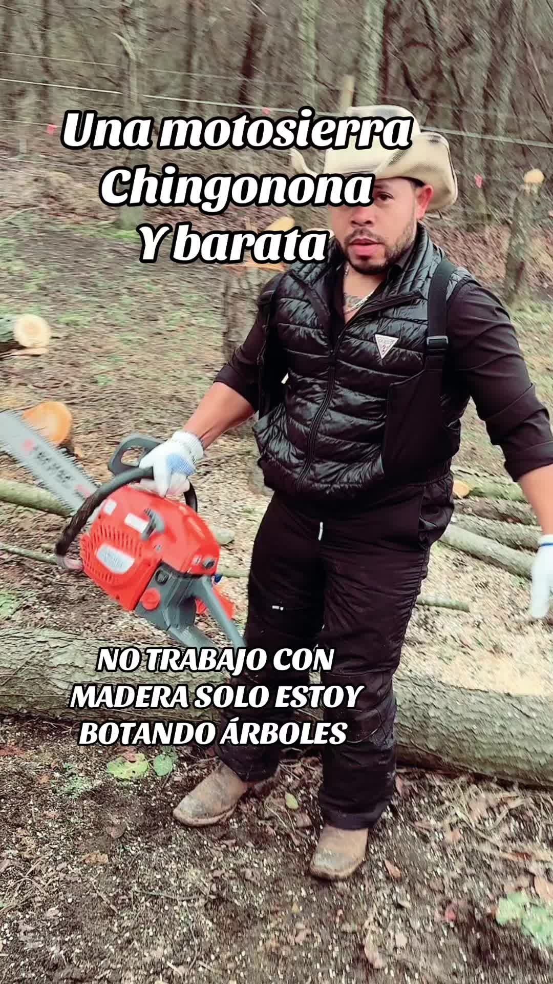 What is no diddy dog yapping about 😭🙏 | idklol2763 (@idklol2763_1)