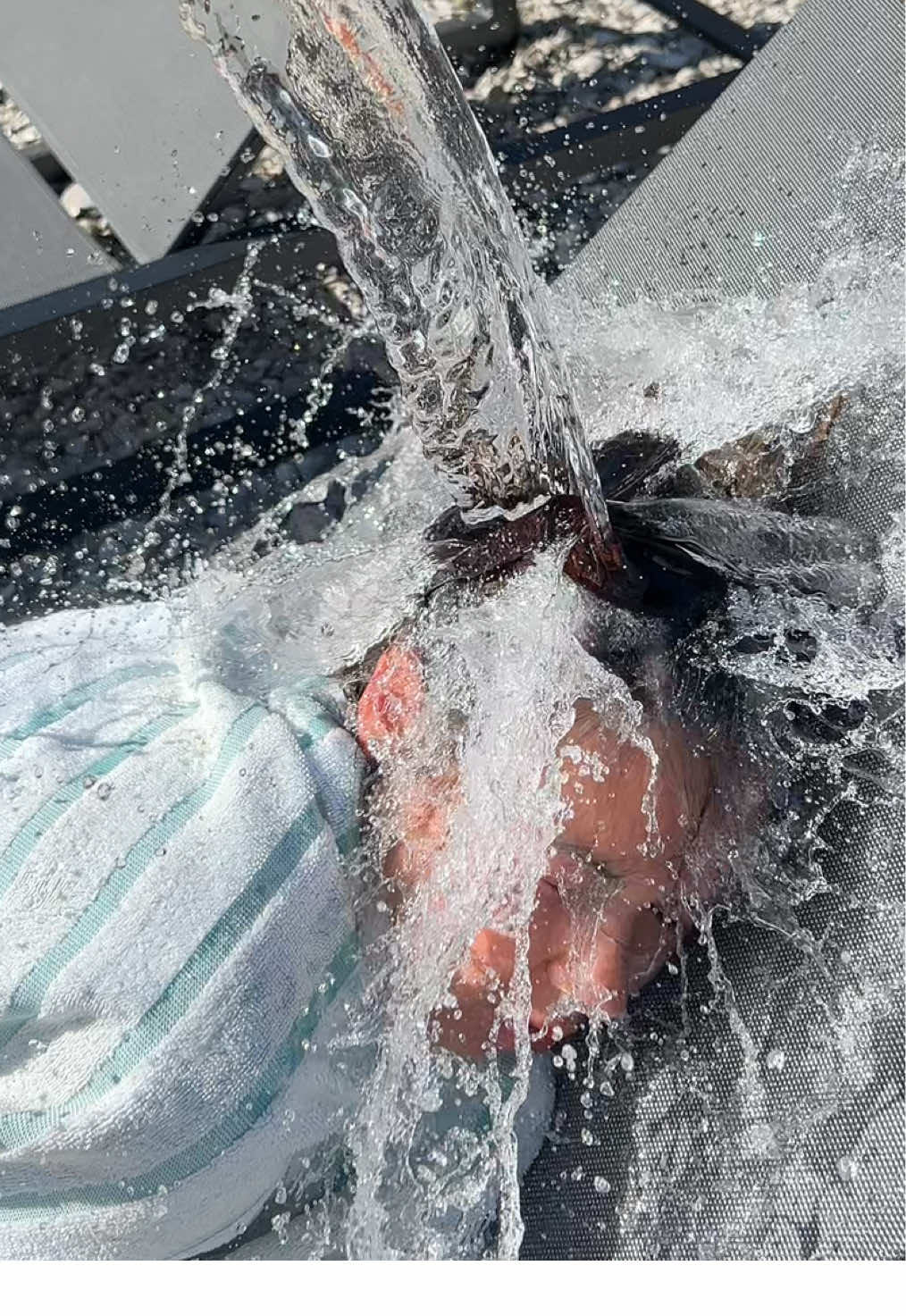 🦄 @myforeignroommate - Elisheva - TikTok