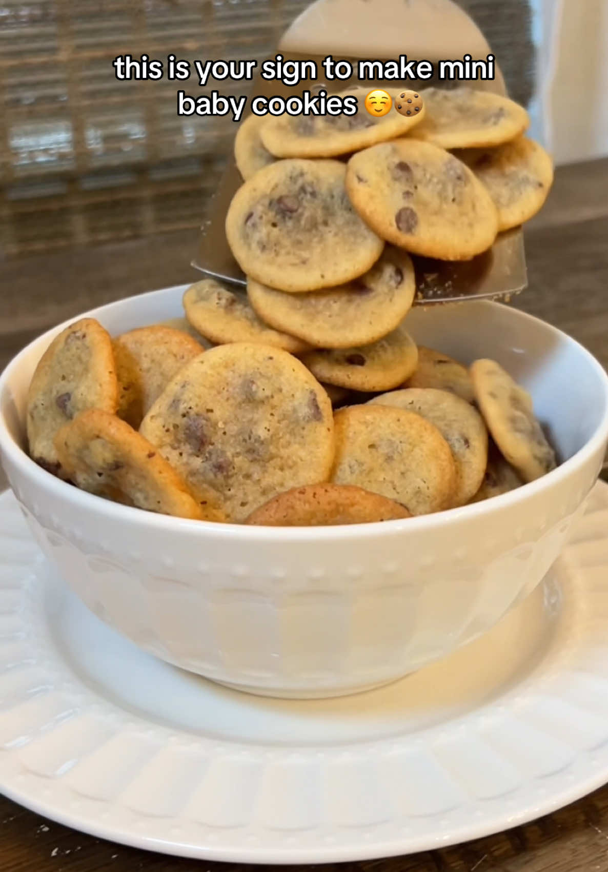 Te amo Bisteca 🐶🥹 #dogsoftiktok #cute | Gabriela 🦇 (@hi.gabbriela)