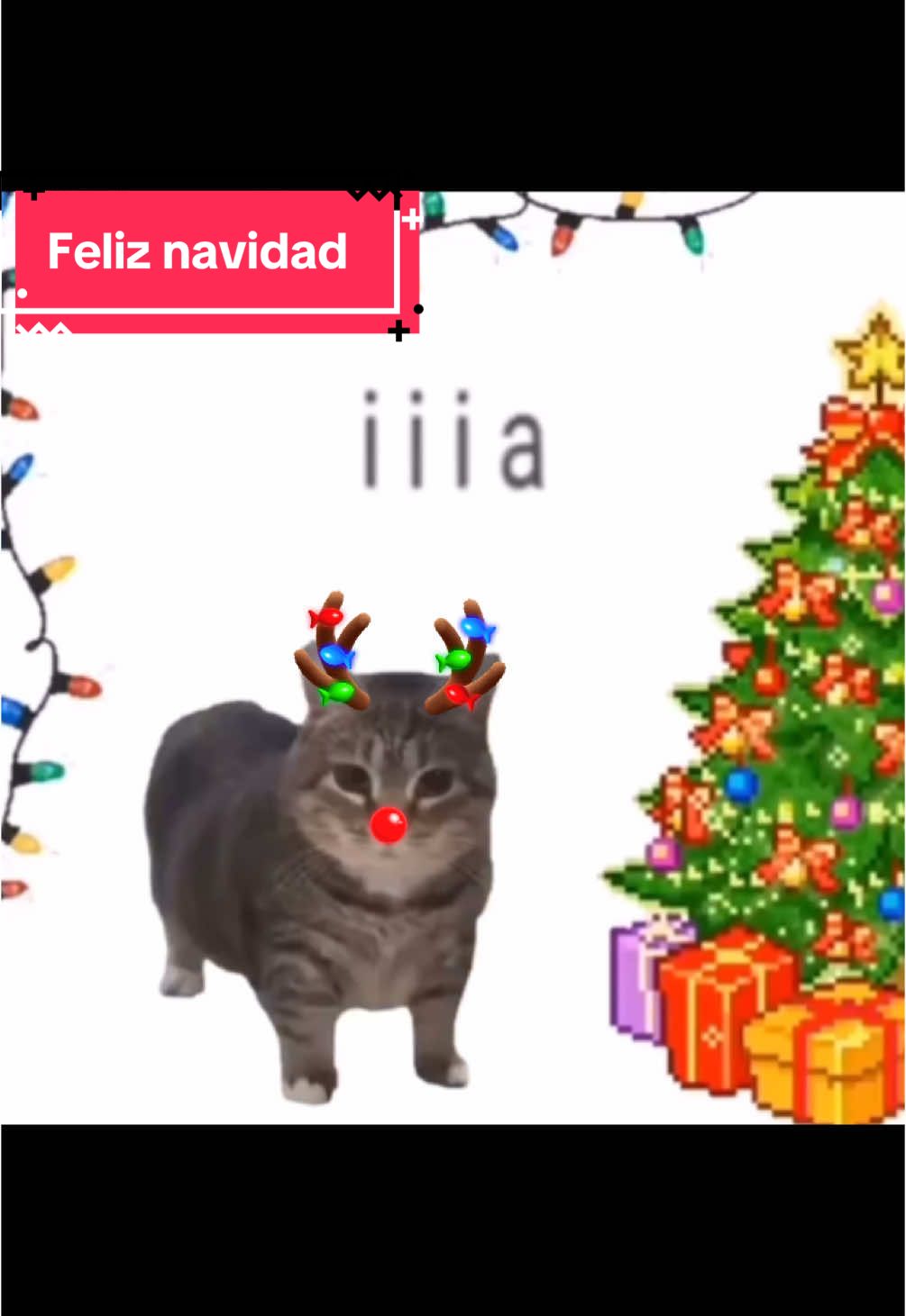 Mericrisma evribodi #spinningcat | Random Fandom :) (@el.randomfandom)