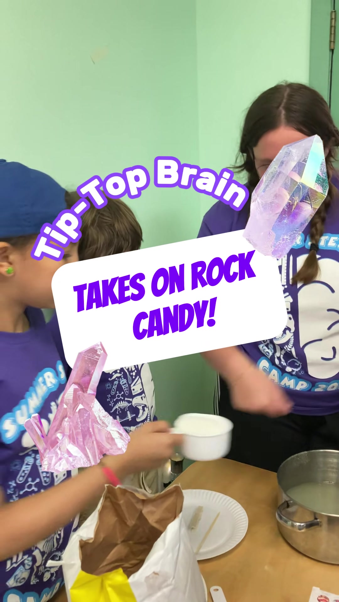 🦄 @tiptopbrain - Tip-Top Brain - TikTok