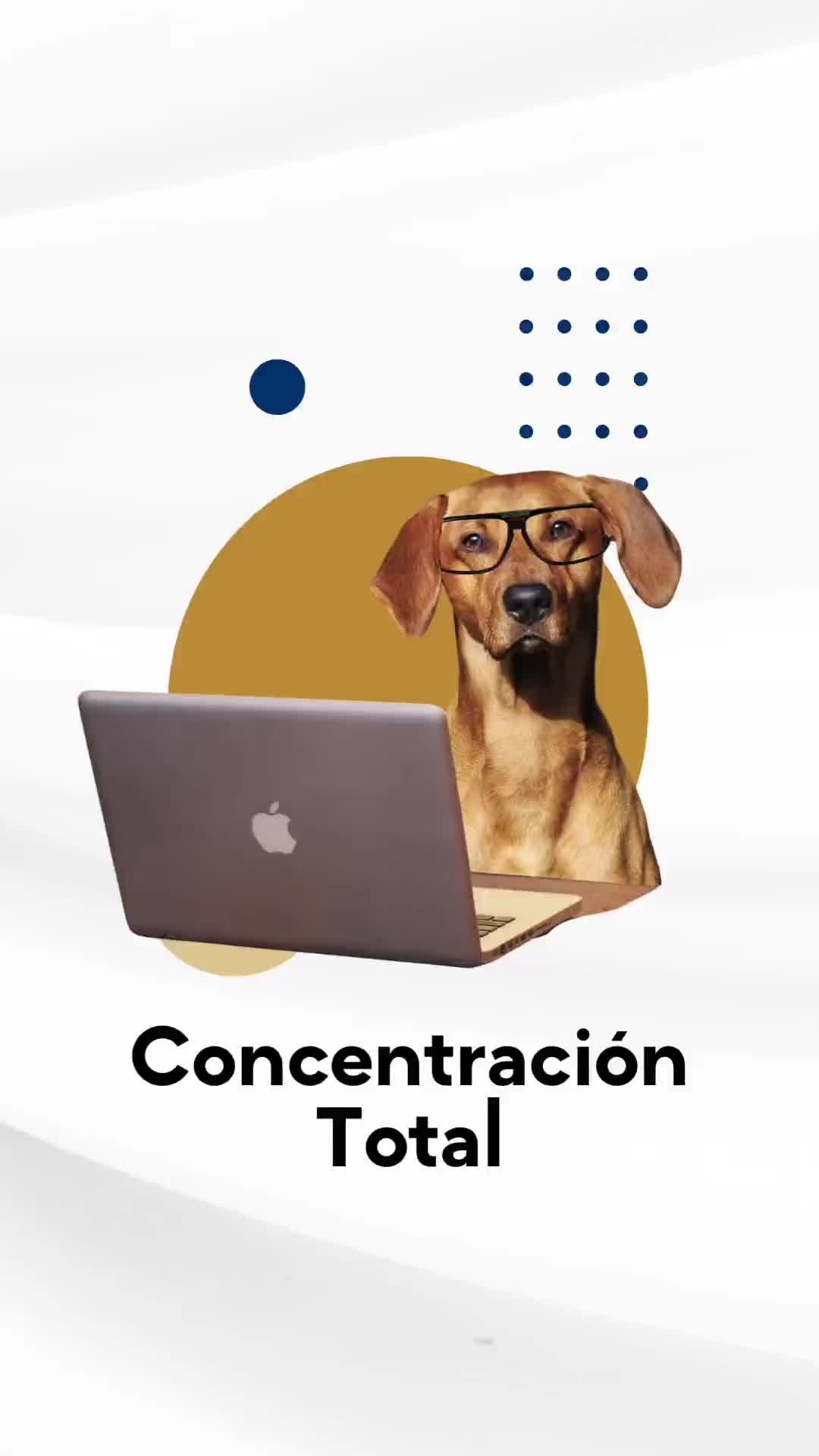🦄 @imcc_oficial - IMCC_ Oficial - TikTok