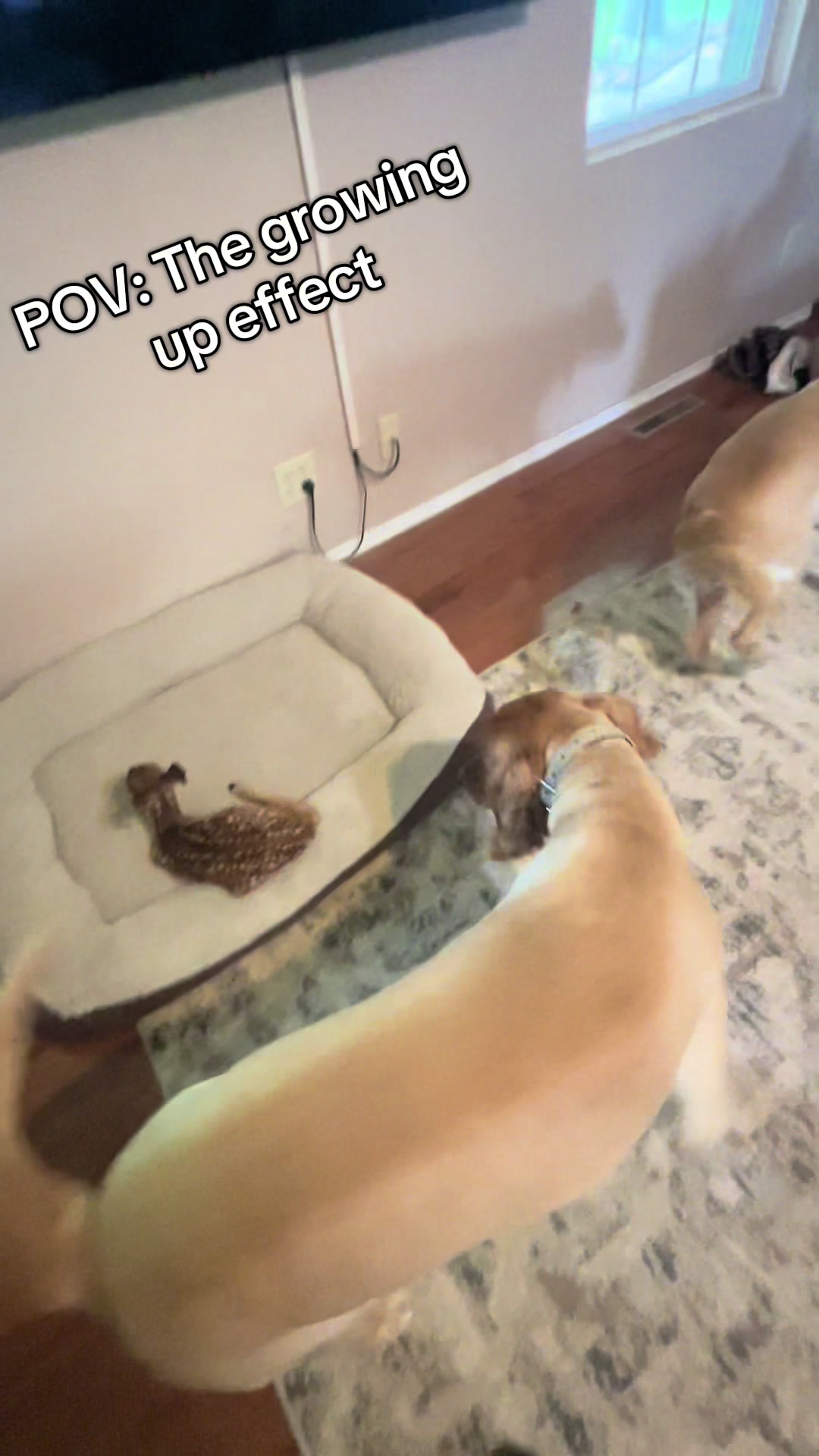 187cm高身長女子が駅のホームにいたら2度見しちゃう？ #高身長女子 | はな(hana) (@hana187cm)