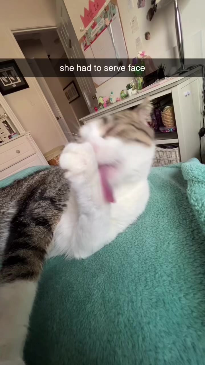 Started as a friend, ended as a sister | Shantelle 💫 (@shantelle_ox)