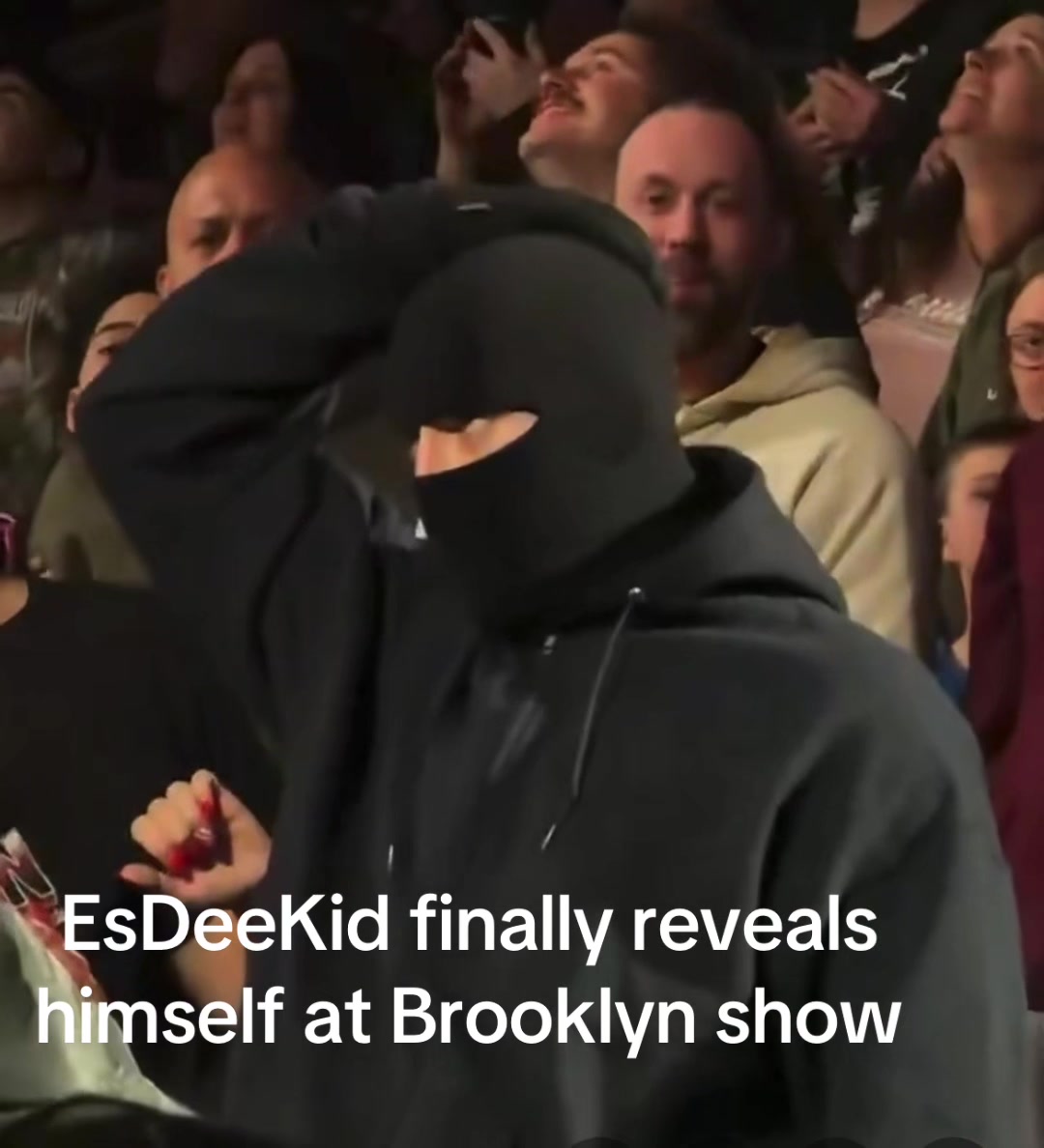 Haih cuai betul Lockey ni 😩 #gogodino | GO GO DINO (@gogodino.official)