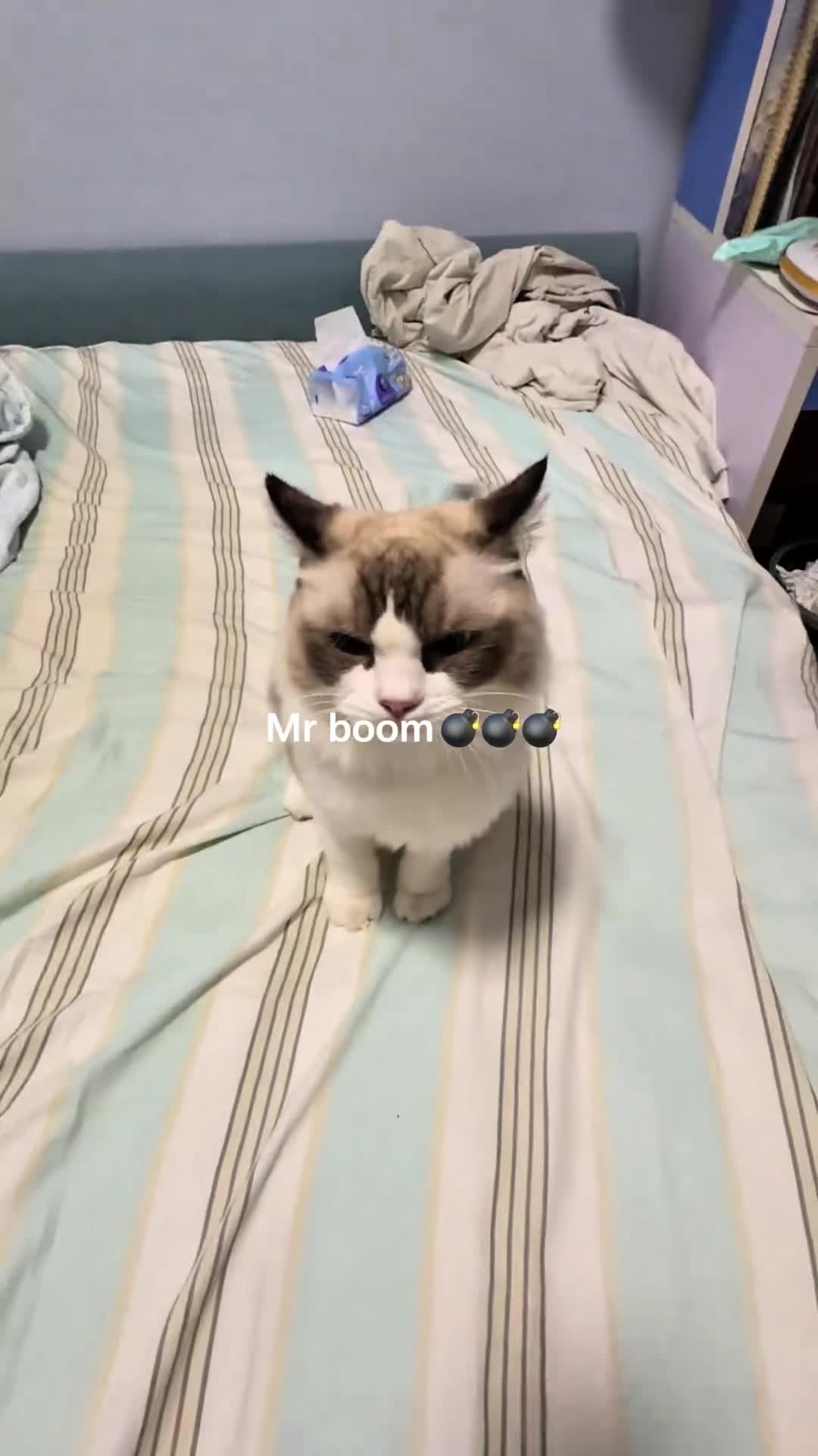 Slight spoiler warning Omg Raichi and | Txix (@txixtnrns)