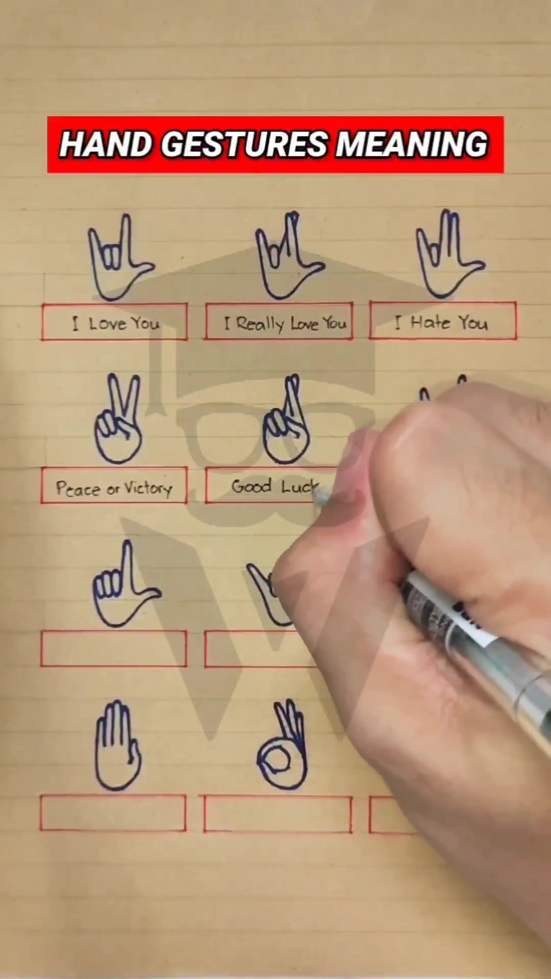 Different Hand Gestures & Their | ProfessorWhiz (@professorwhiz)