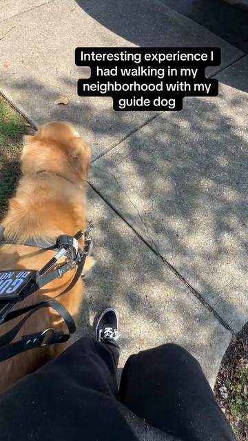 How my guide dog navigates around | Danielle + Murphy (@murphytheguidedog)